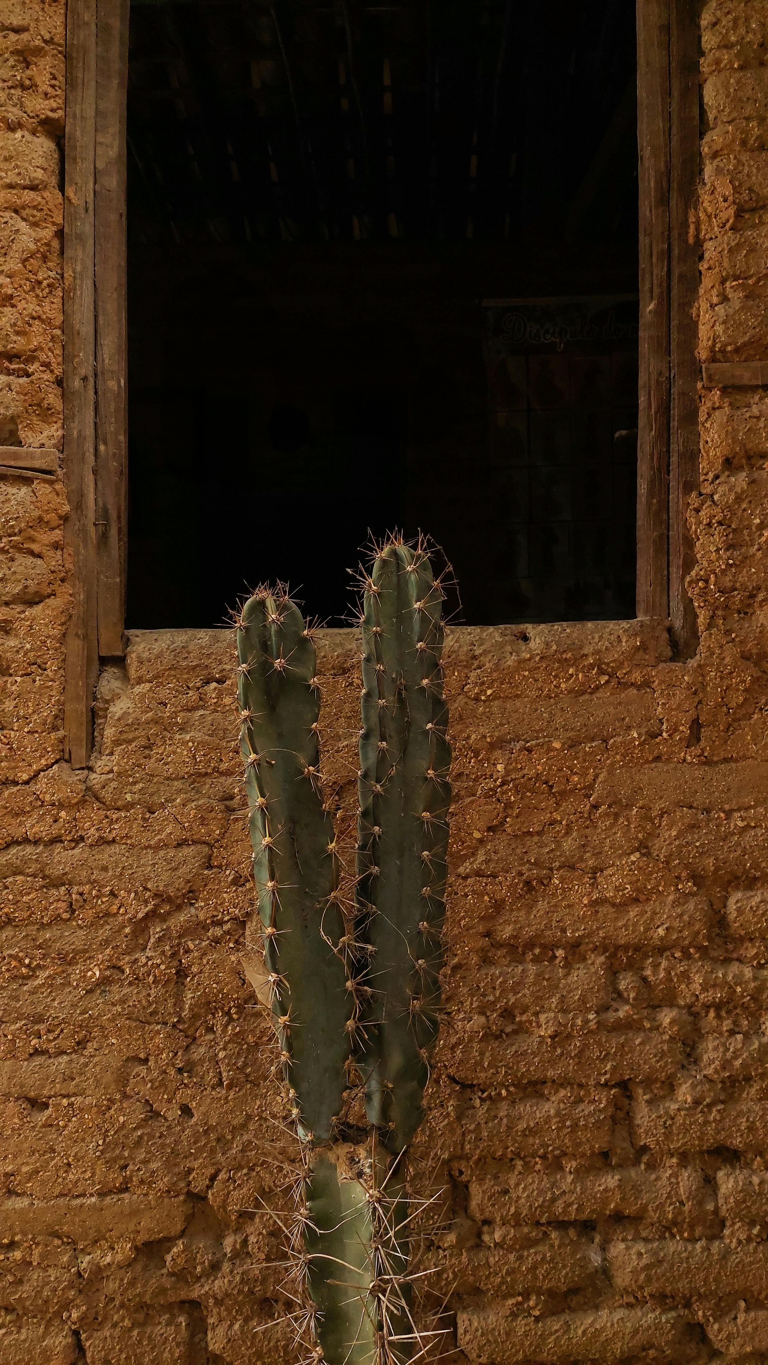 Adobe Photopsop Photos, Download The BEST Free Adobe Photopsop Stock ...