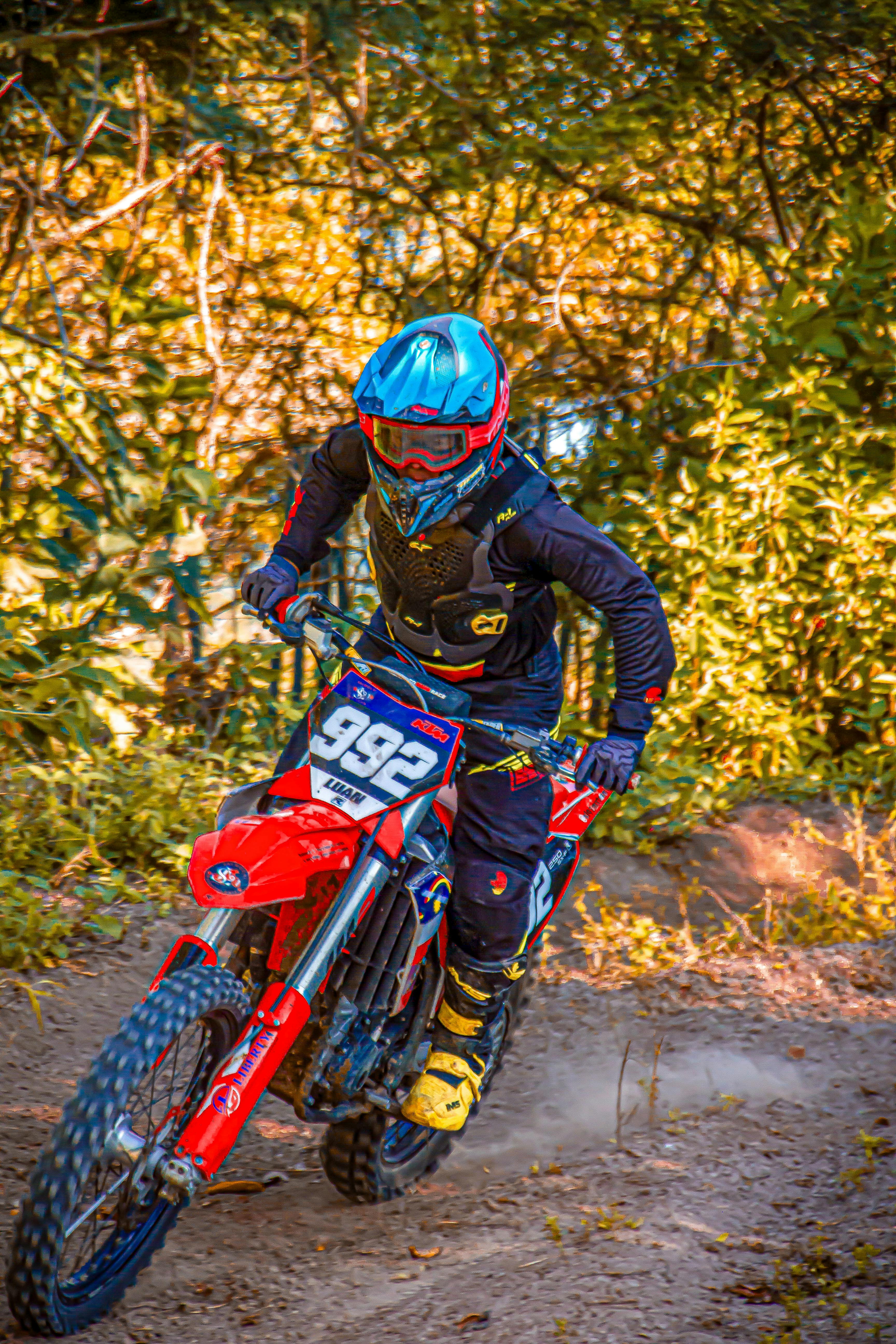 Exciting Dirt Bike Race Through Brazilian Forest · Free Stock Photo