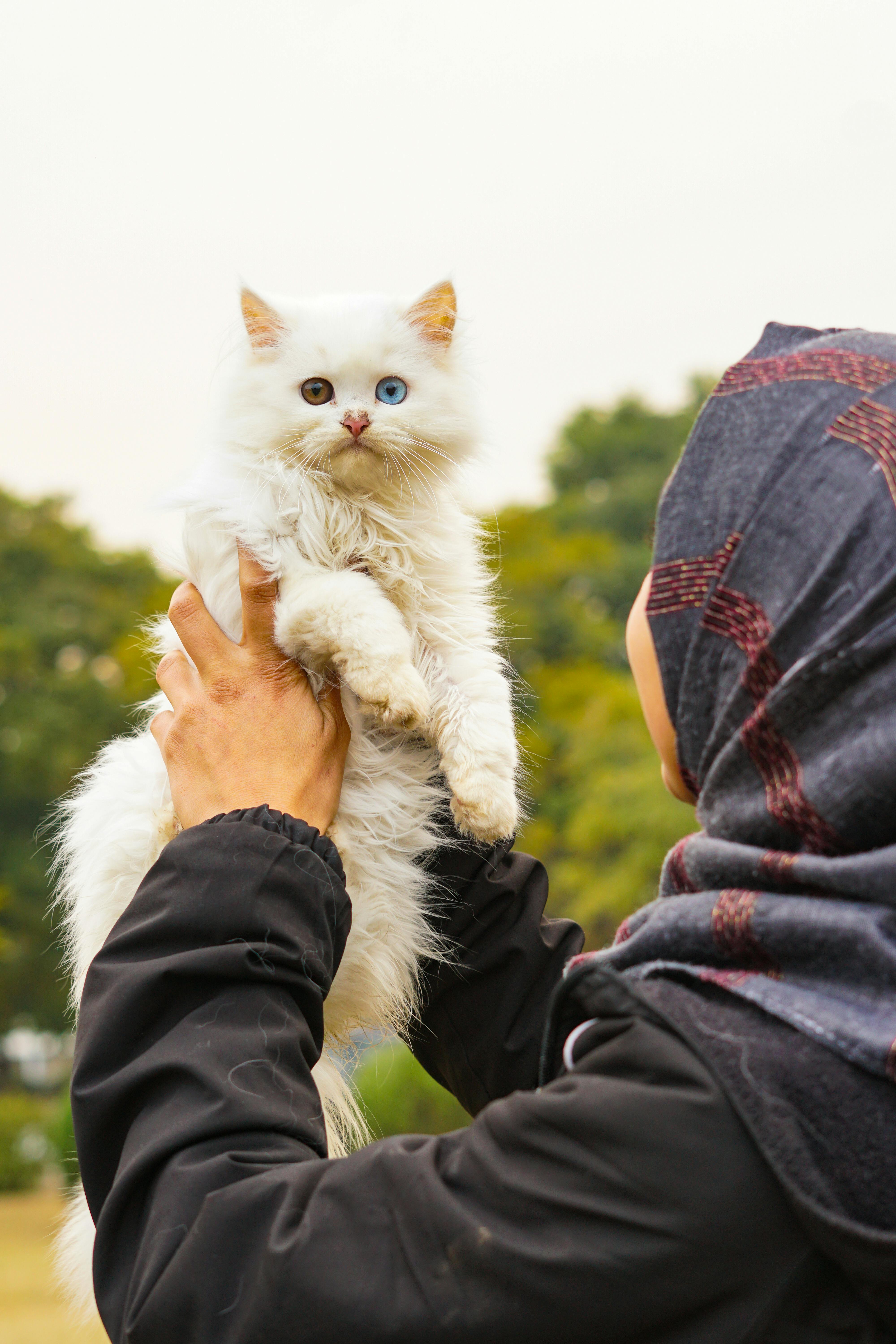 Woman Holding White Cat with Heterochromia Outdoors · Free Stock Photo