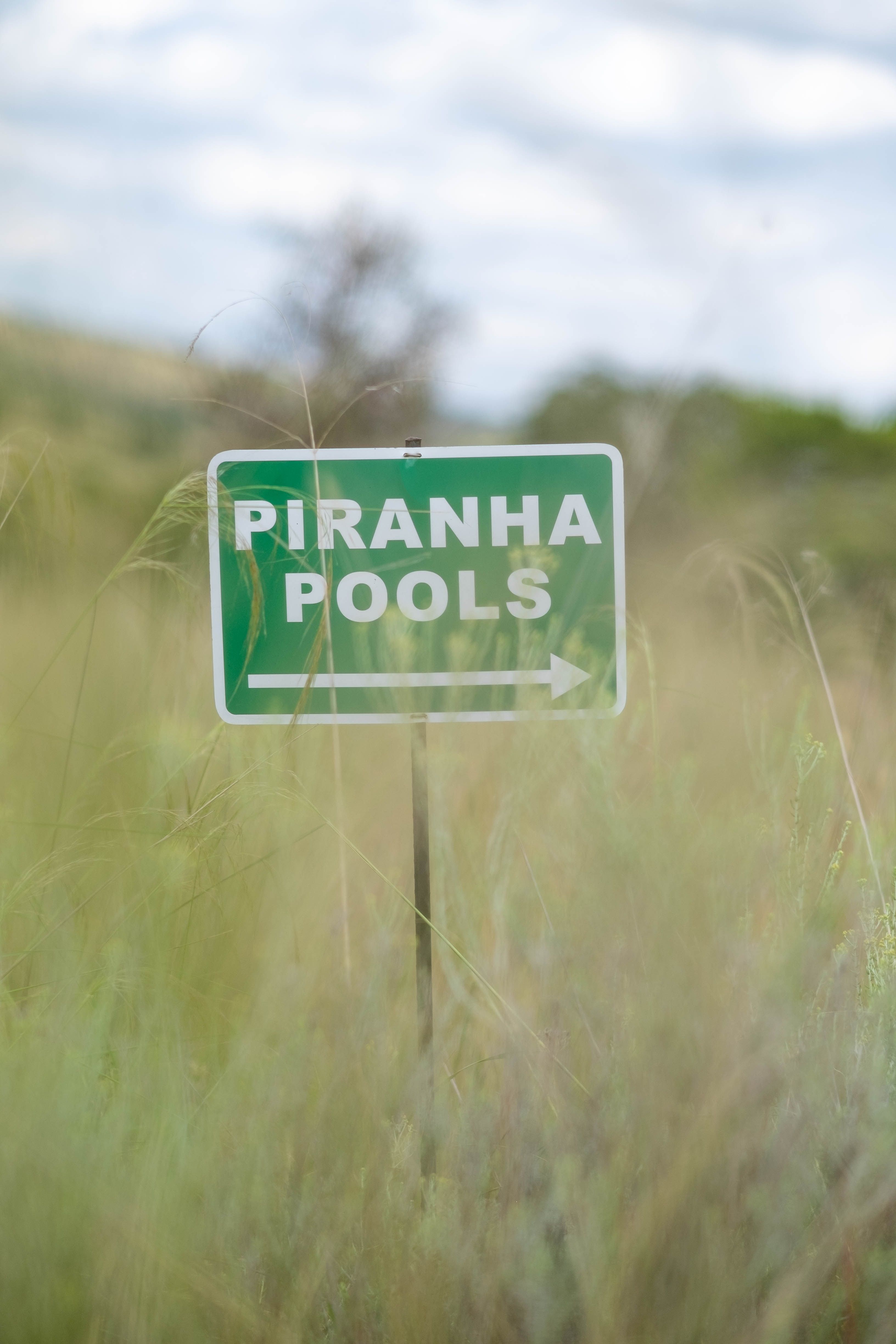 Piranha Pools Sign Amid Grassy Plains in Magaliesburg · Free Stock Photo