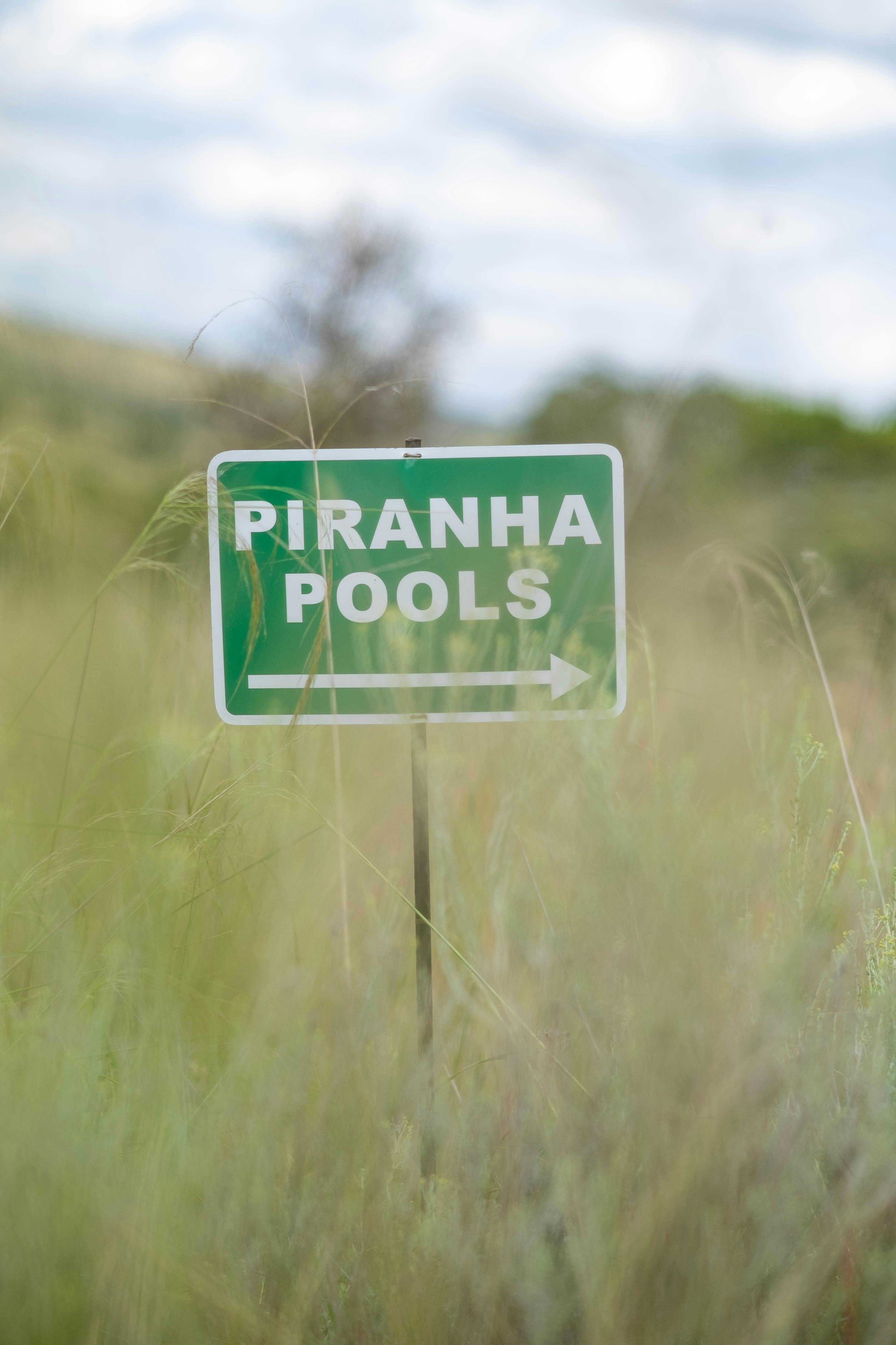 Tanda Kolam Piranha Di Tengah Padang Rumput Di Magaliesburg · Foto Stok ...