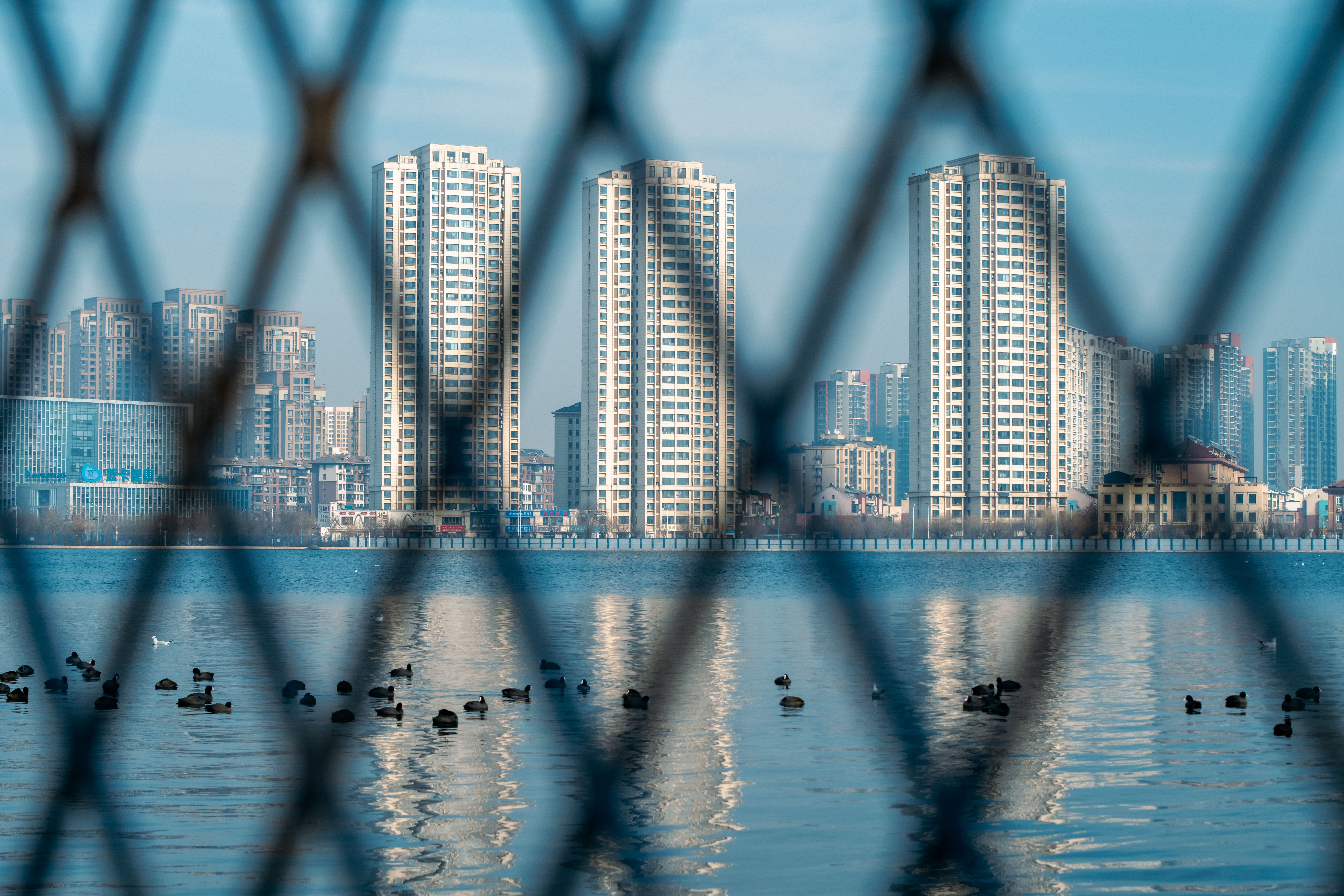 High-rise buildings behind a lattice fence · Free Stock Photo
