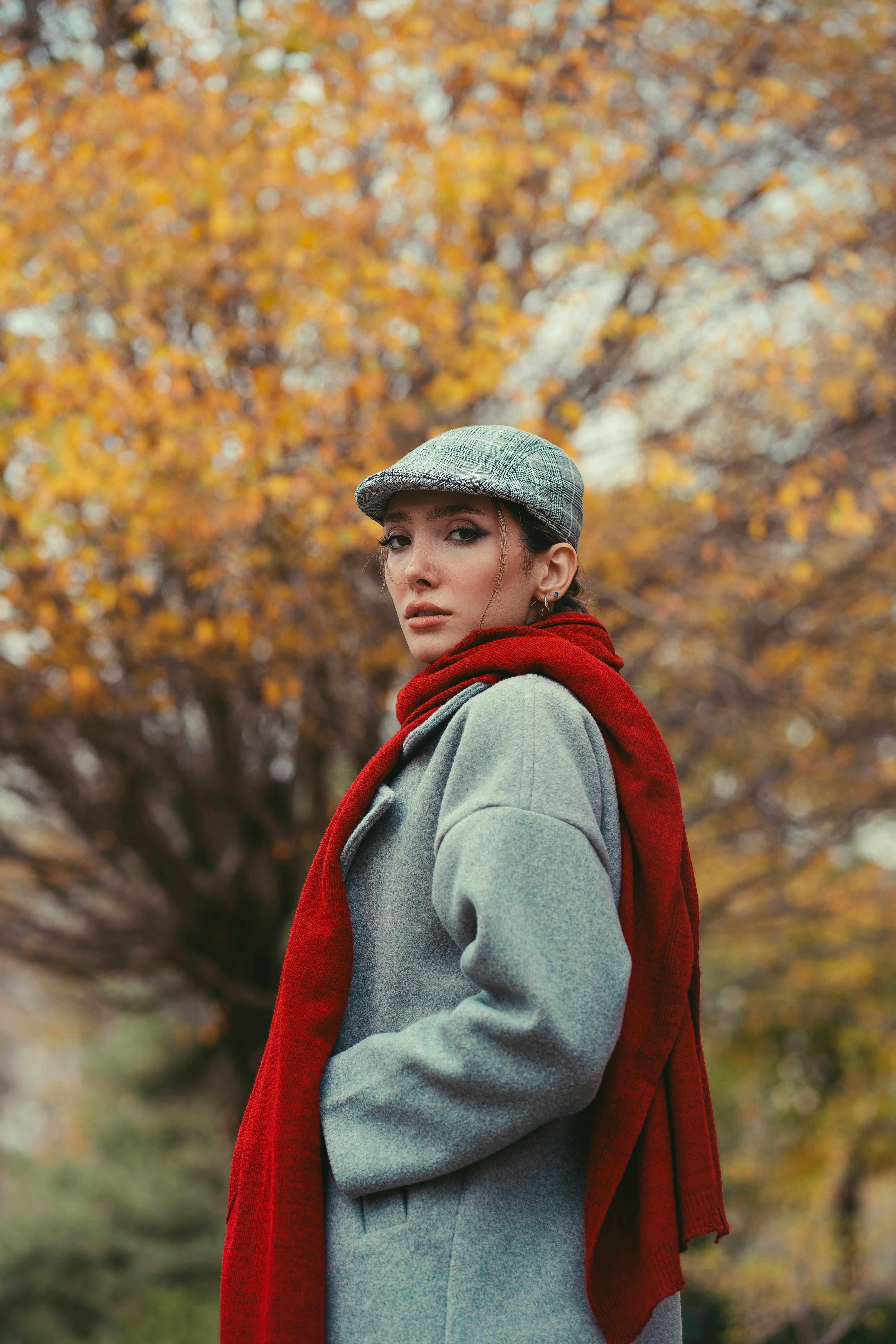 Fall Scene Photos, Download The BEST Free Fall Scene Stock Photos & HD ...