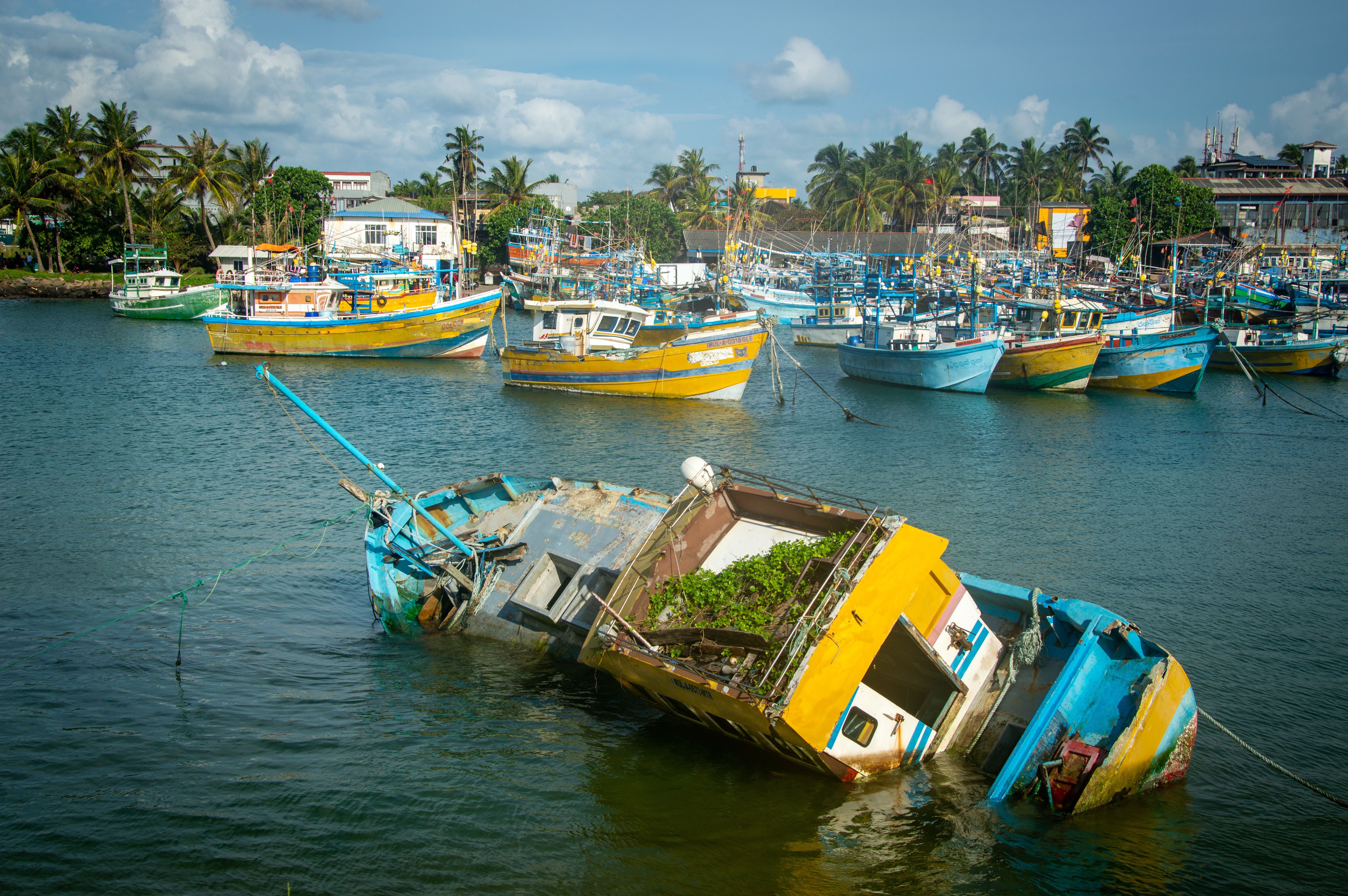 Colorful fishing boats in tropical harbor · Free Stock Photo