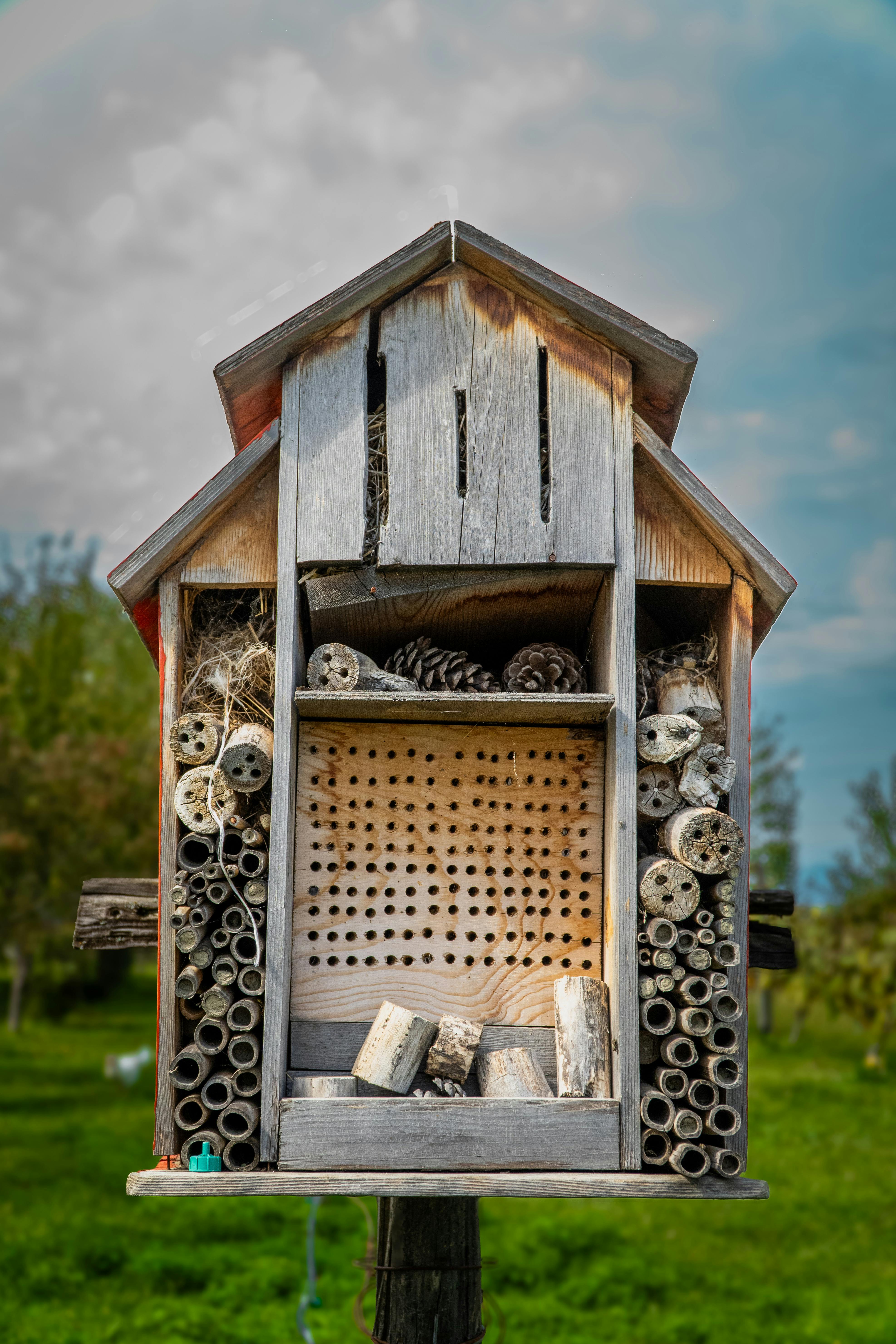 Rustic Insect Hotel on a Lush Green Farm · Free Stock Photo