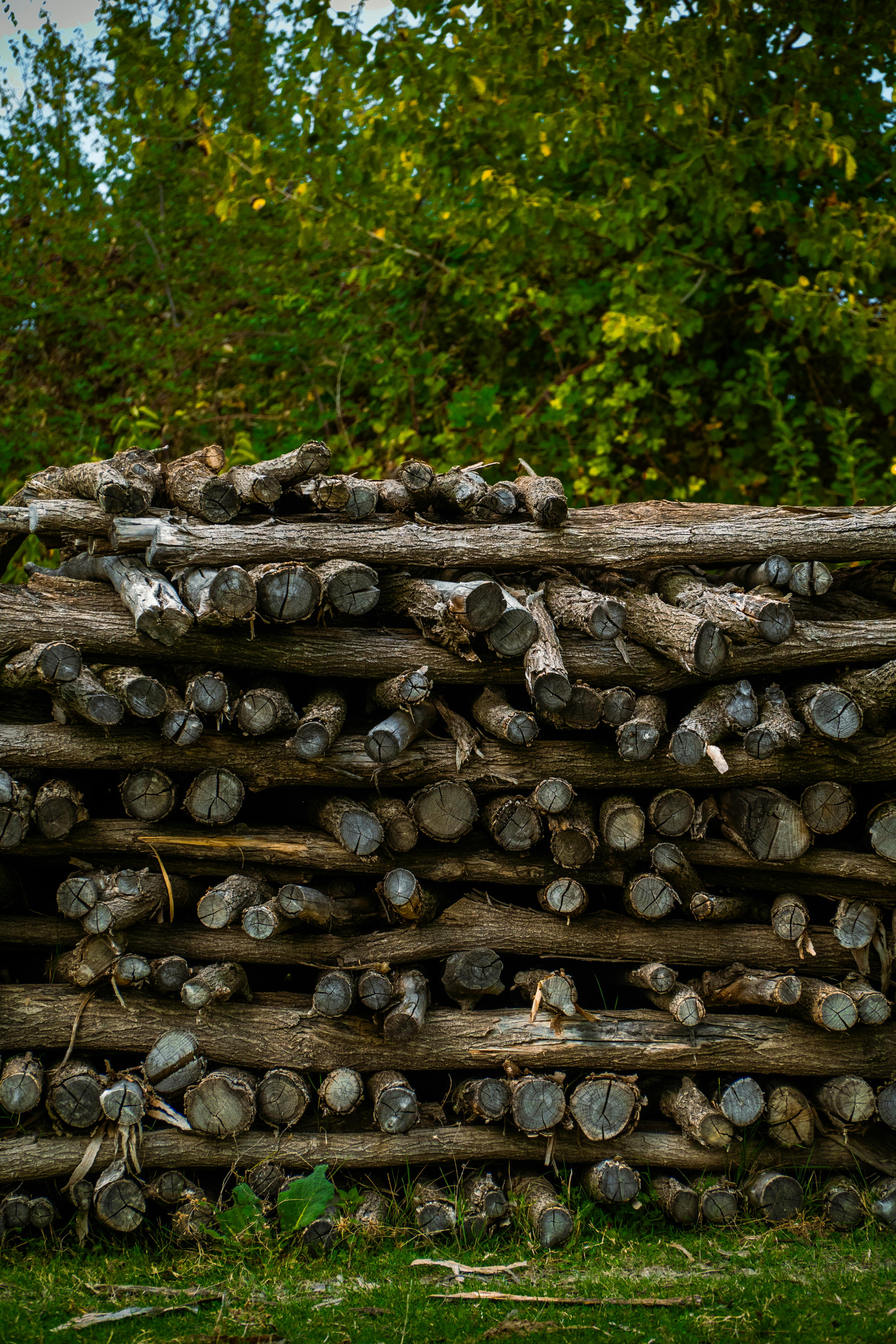 Maximize Your Resources Photos, Download The BEST Free Maximize Your ...