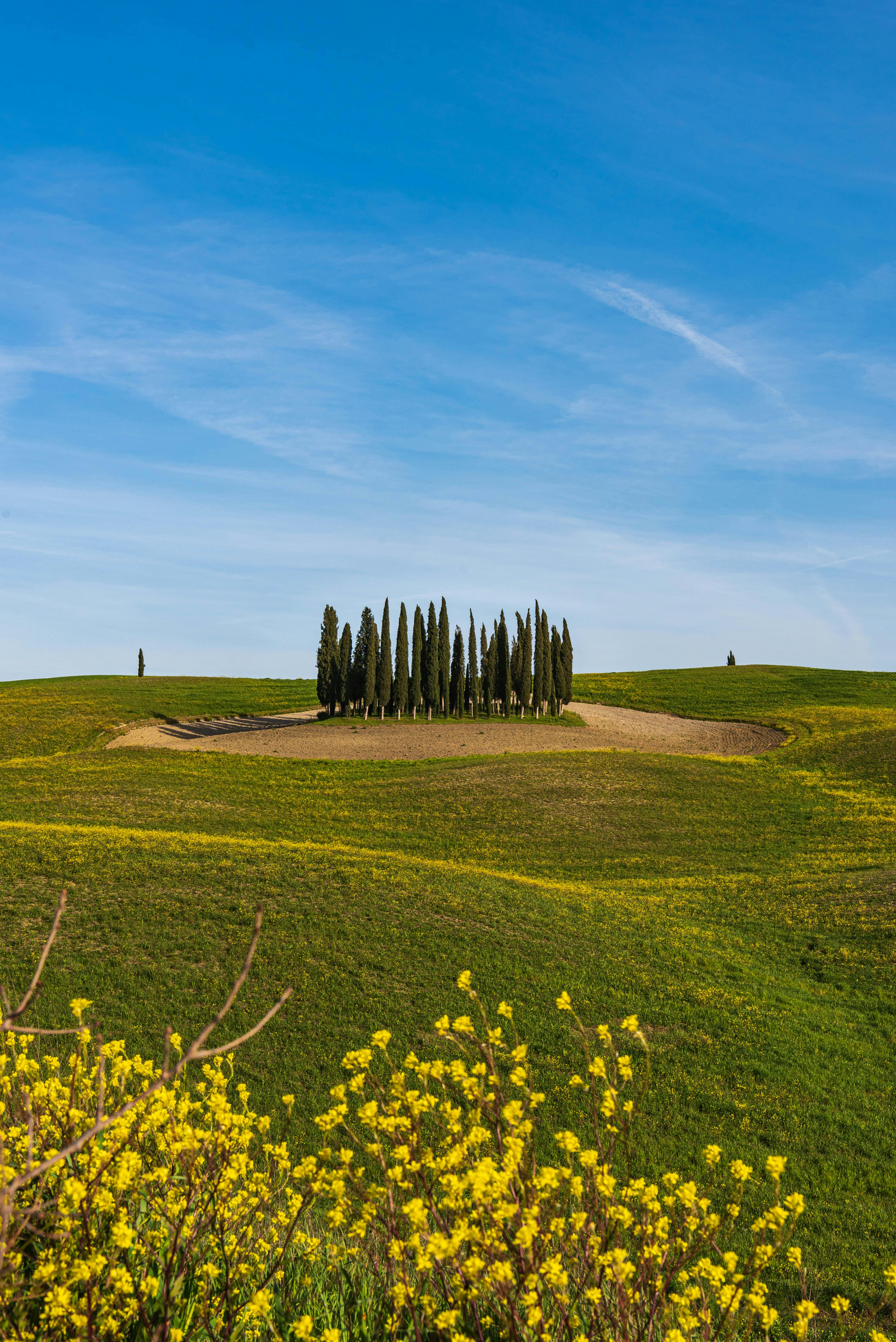Beautiful Tuscan Landscape with Cypress Trees · Free Stock Photo