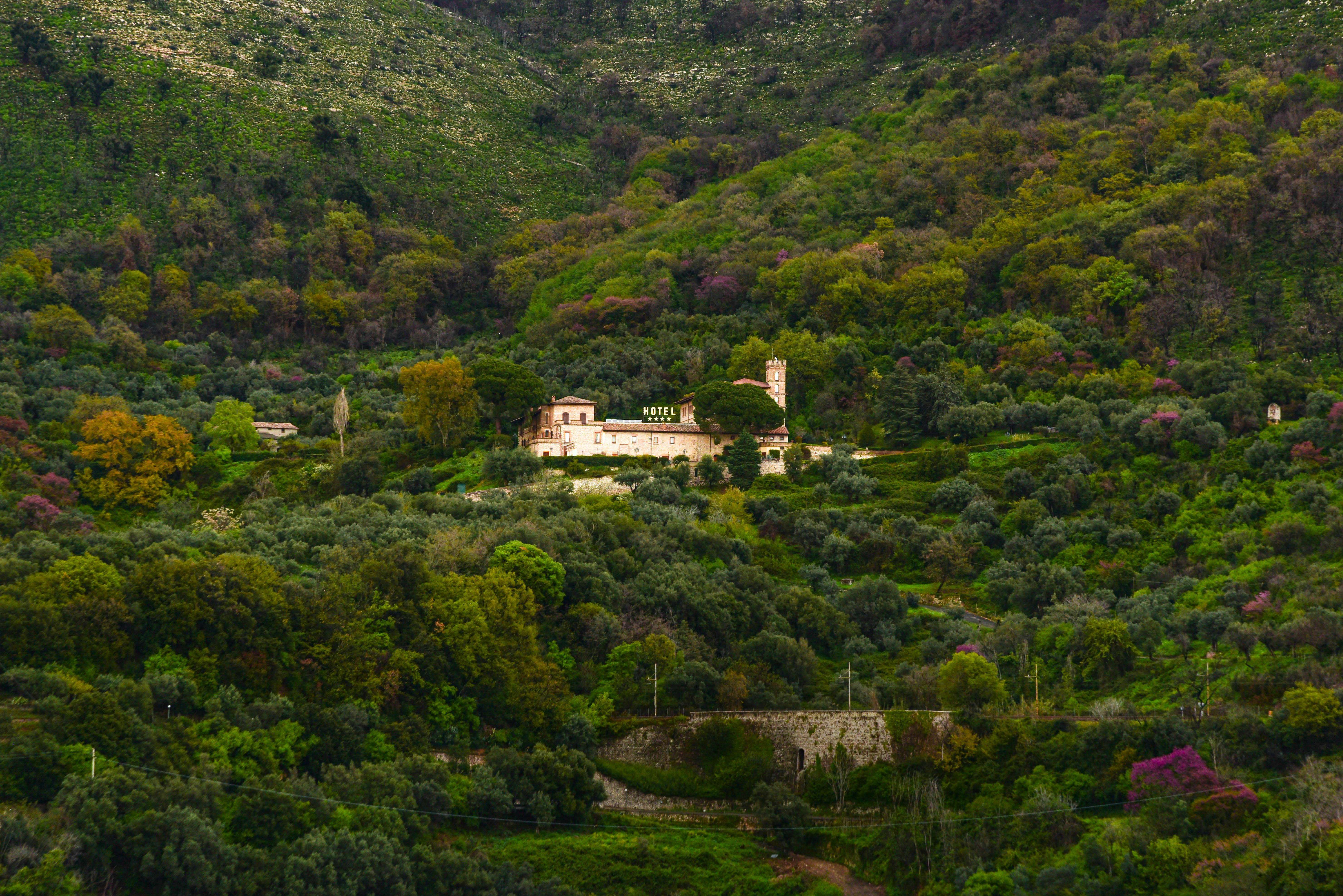 Vista Panorámica Del Hotel En Medio De Una Exuberante Vegetación En ...