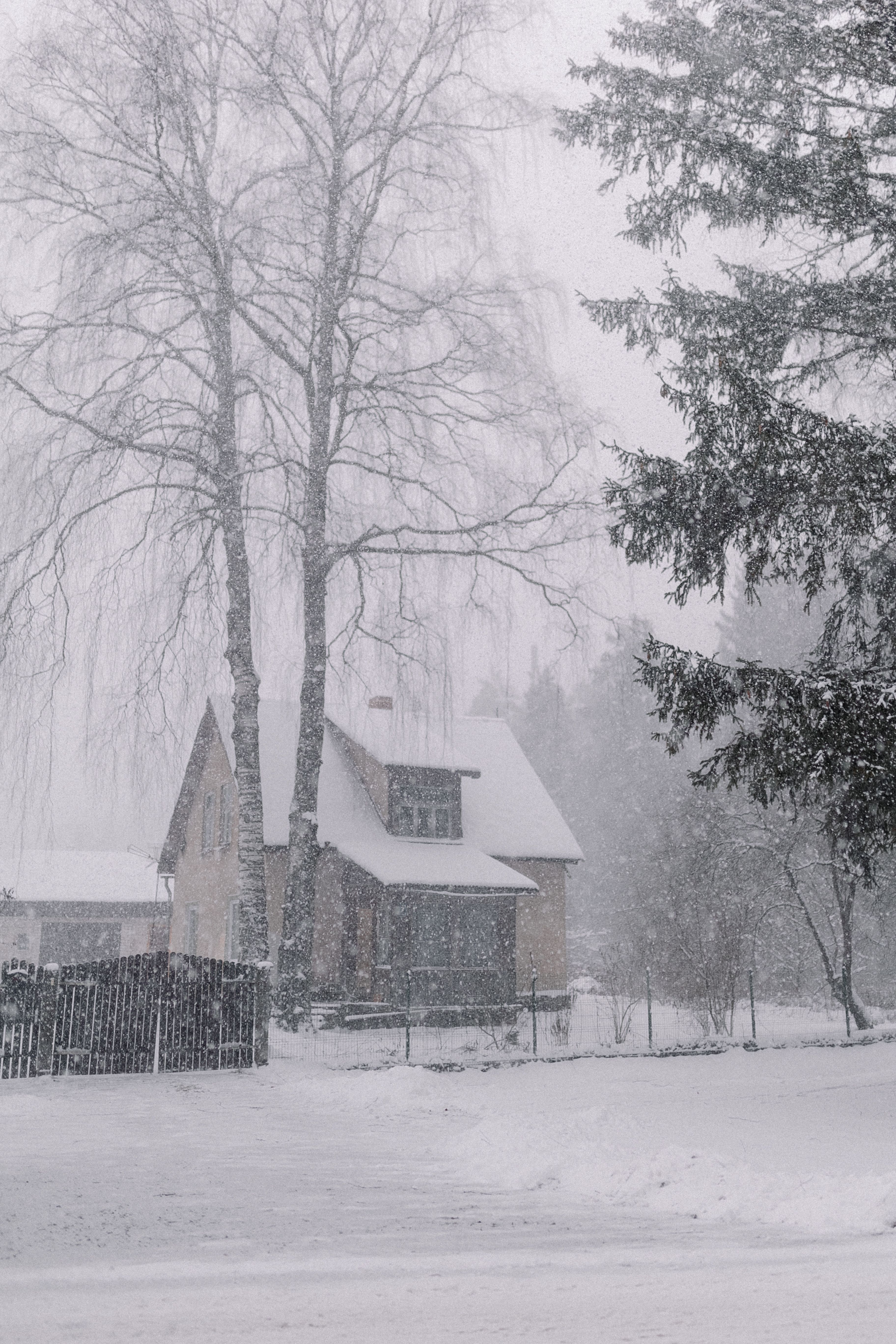 Snow-Covered House in Winter Landscape · Free Stock Photo