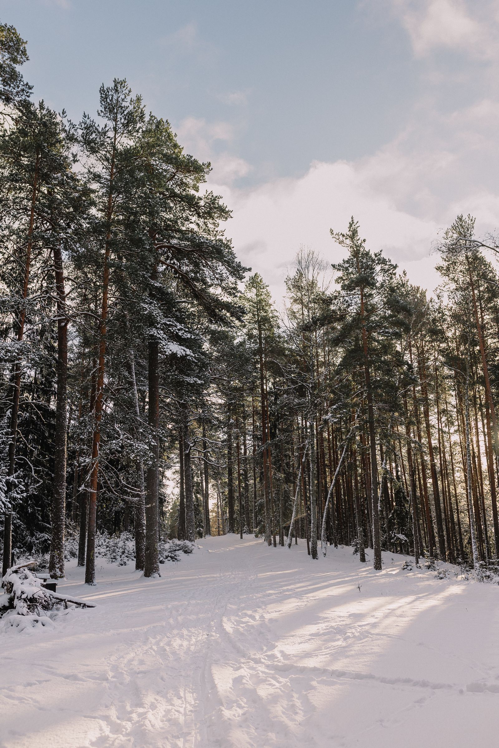 Snowy Landscape Photos, Download The BEST Free Snowy Landscape Stock ...