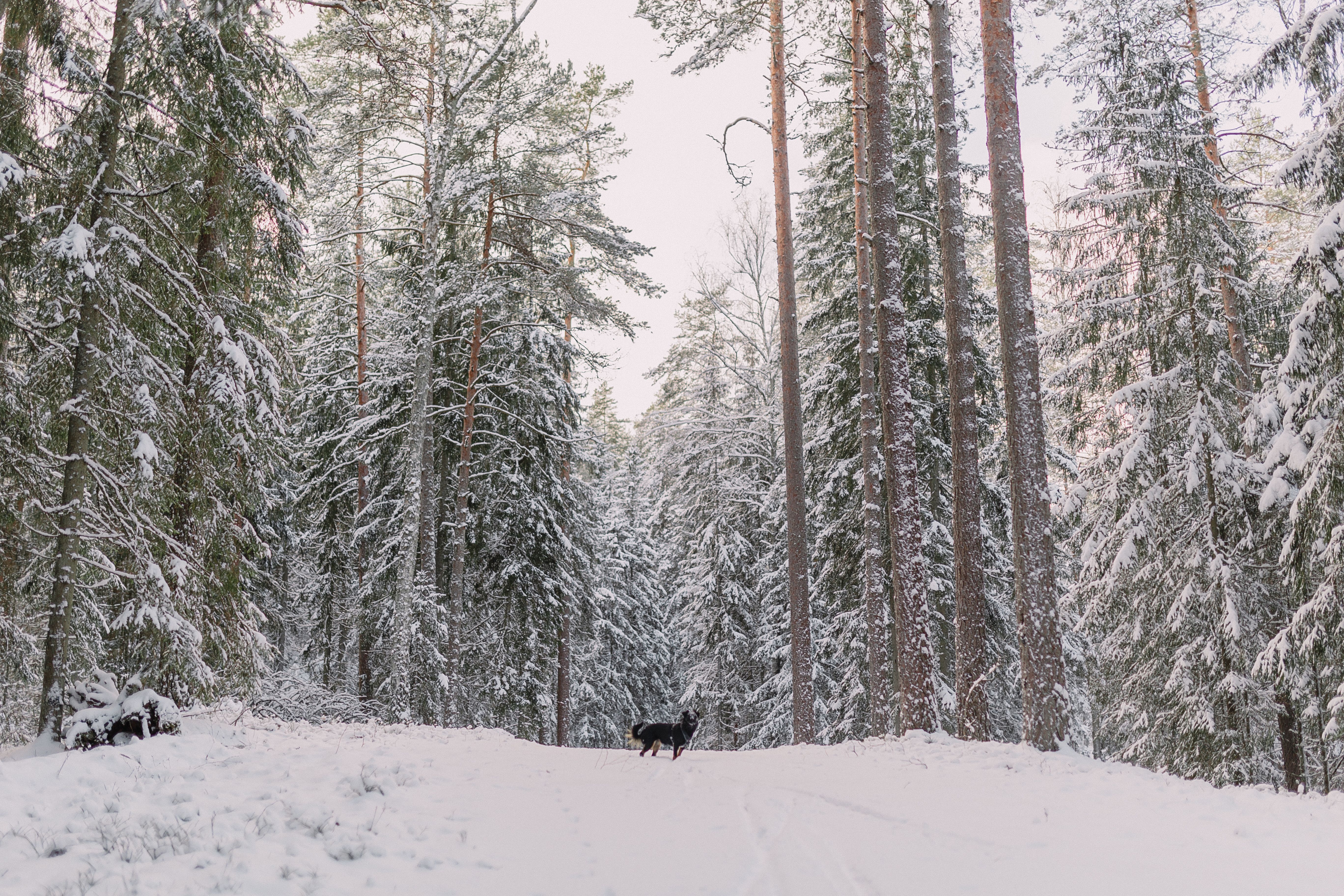 Wander Photos, Download The BEST Free Wander Stock Photos & HD Images