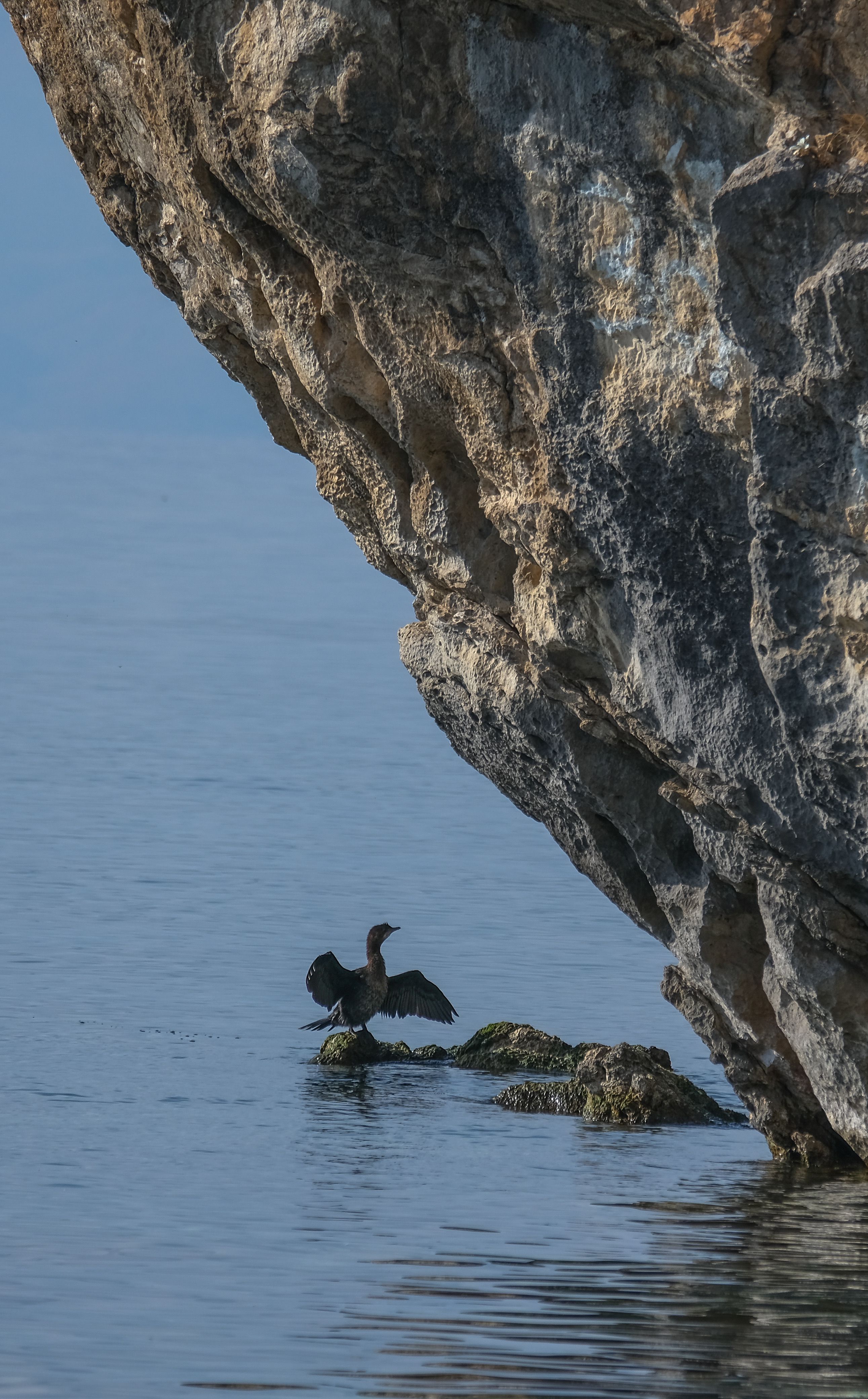 Lake With Cliff Landscape Photos, Download The BEST Free Lake With ...