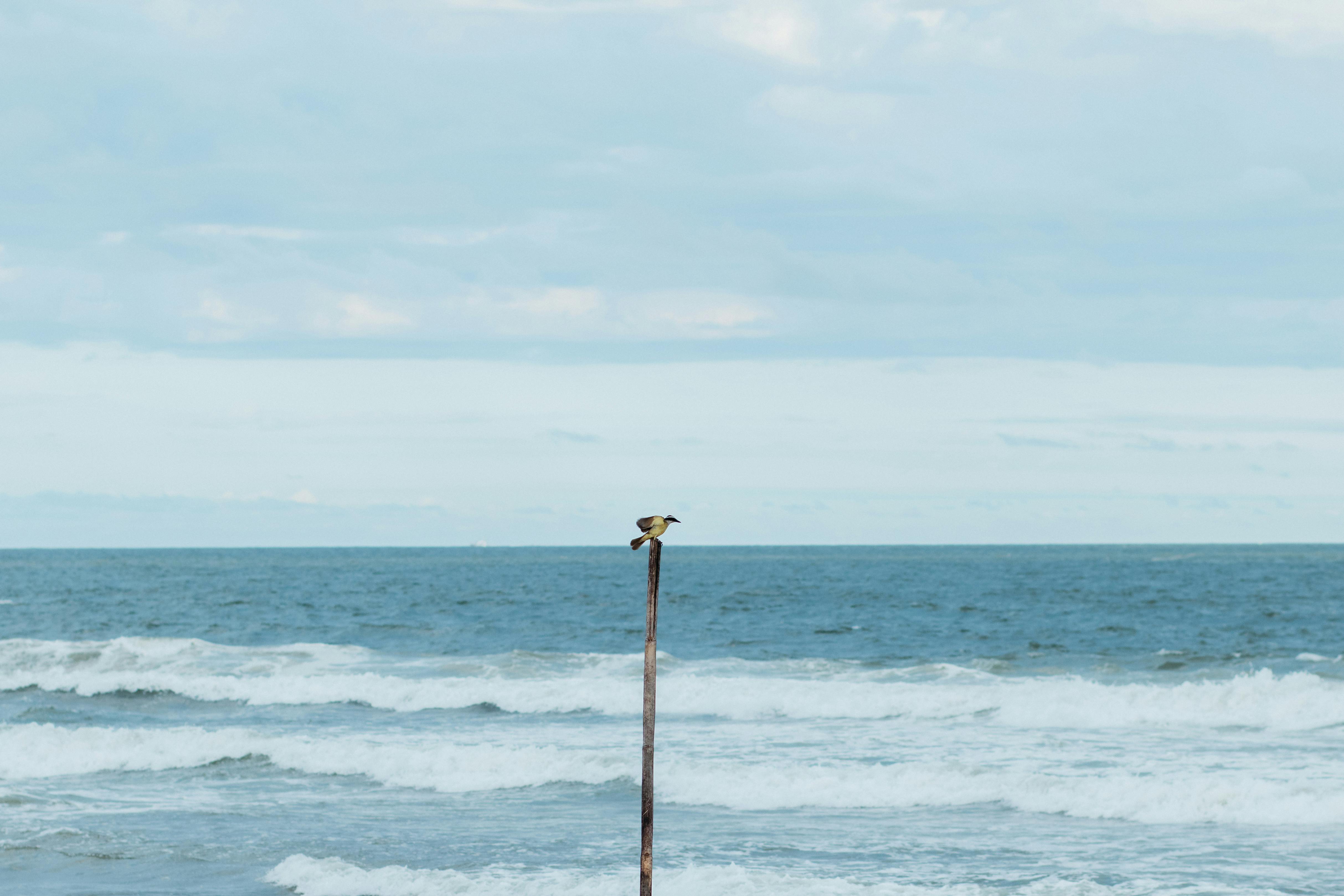 Open View Wendow Photos, Download The BEST Free Open View Wendow Stock ...