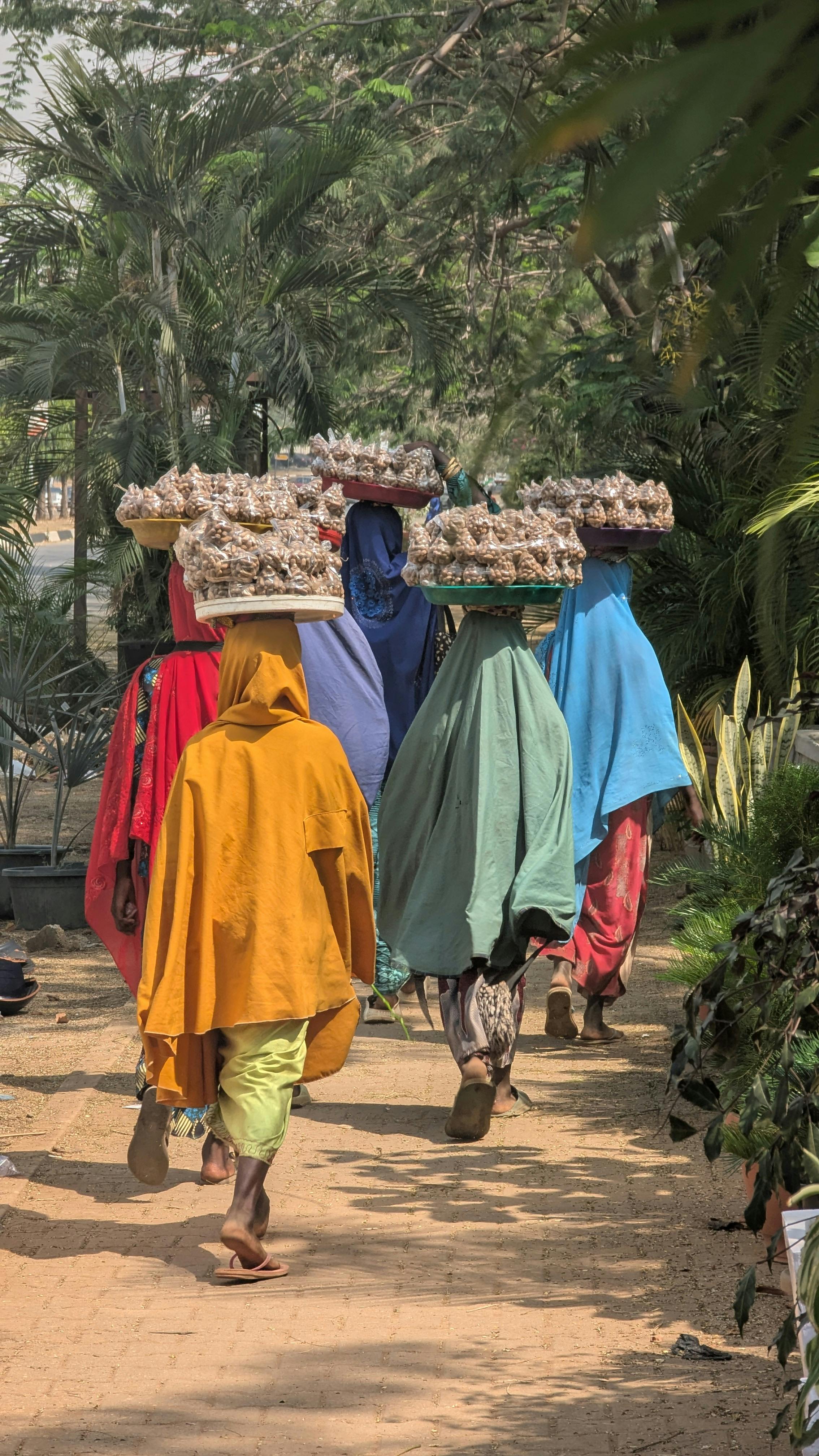 Colorful Palm Trees Photos, Download The BEST Free Colorful Palm Trees ...