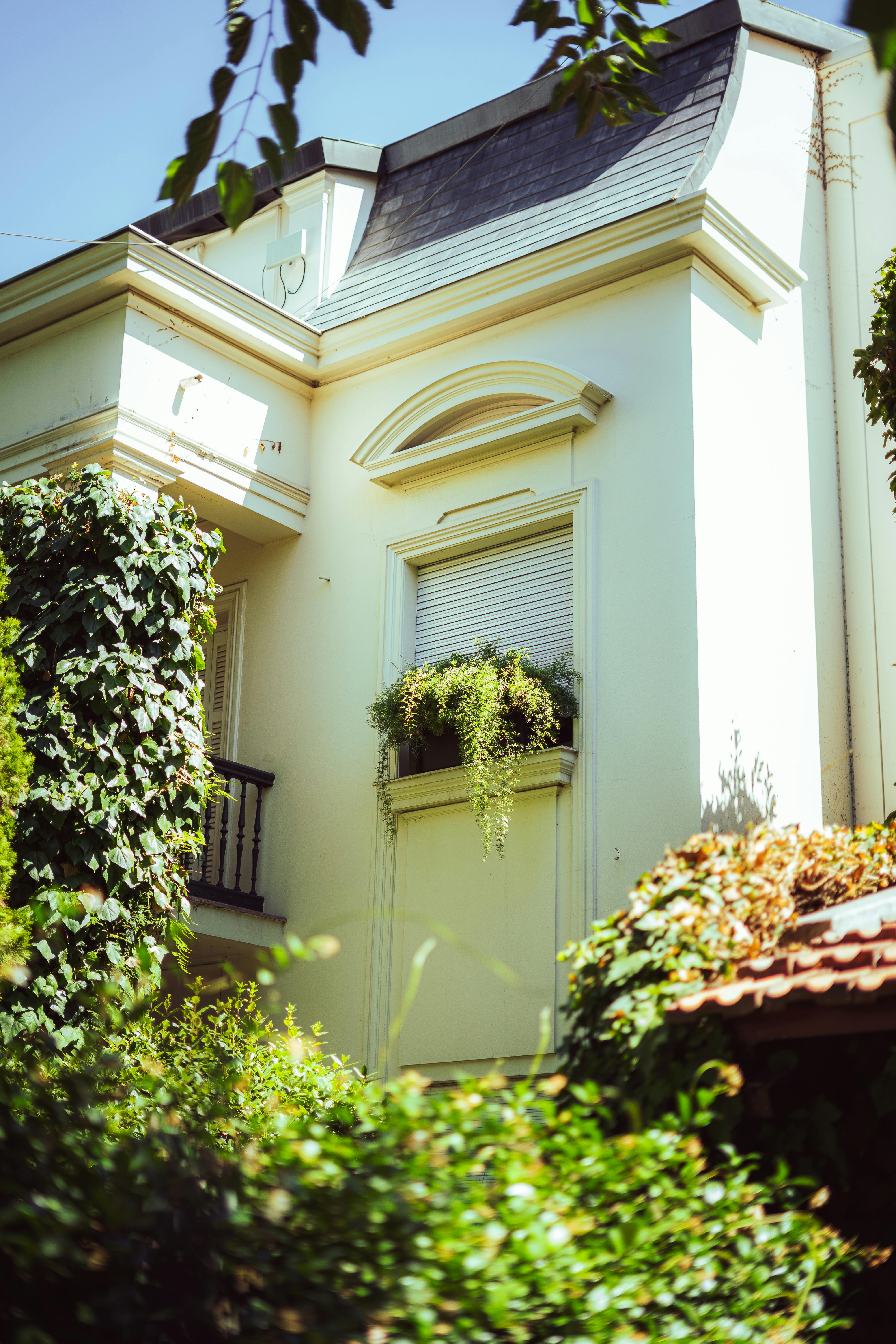 Charming Ivy-Covered Building in Mendoza · Free Stock Photo