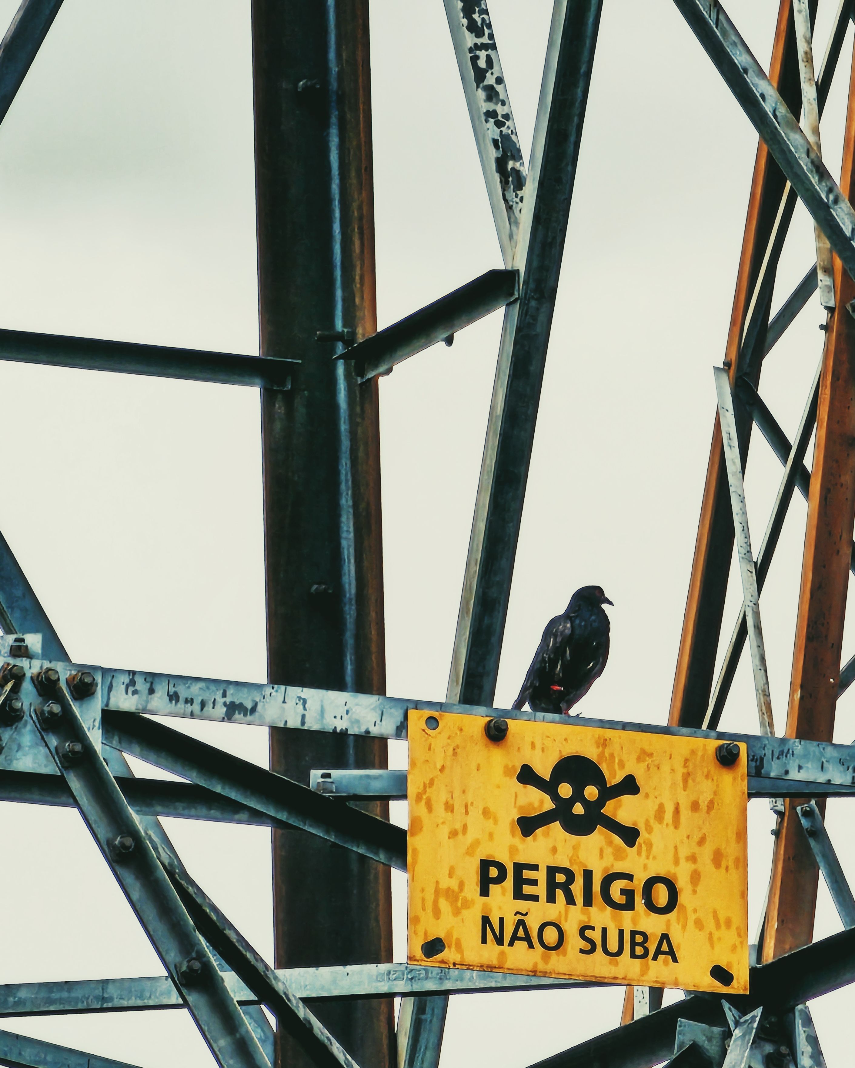 Danger Sign with Bird on Industrial Structure · Free Stock Photo