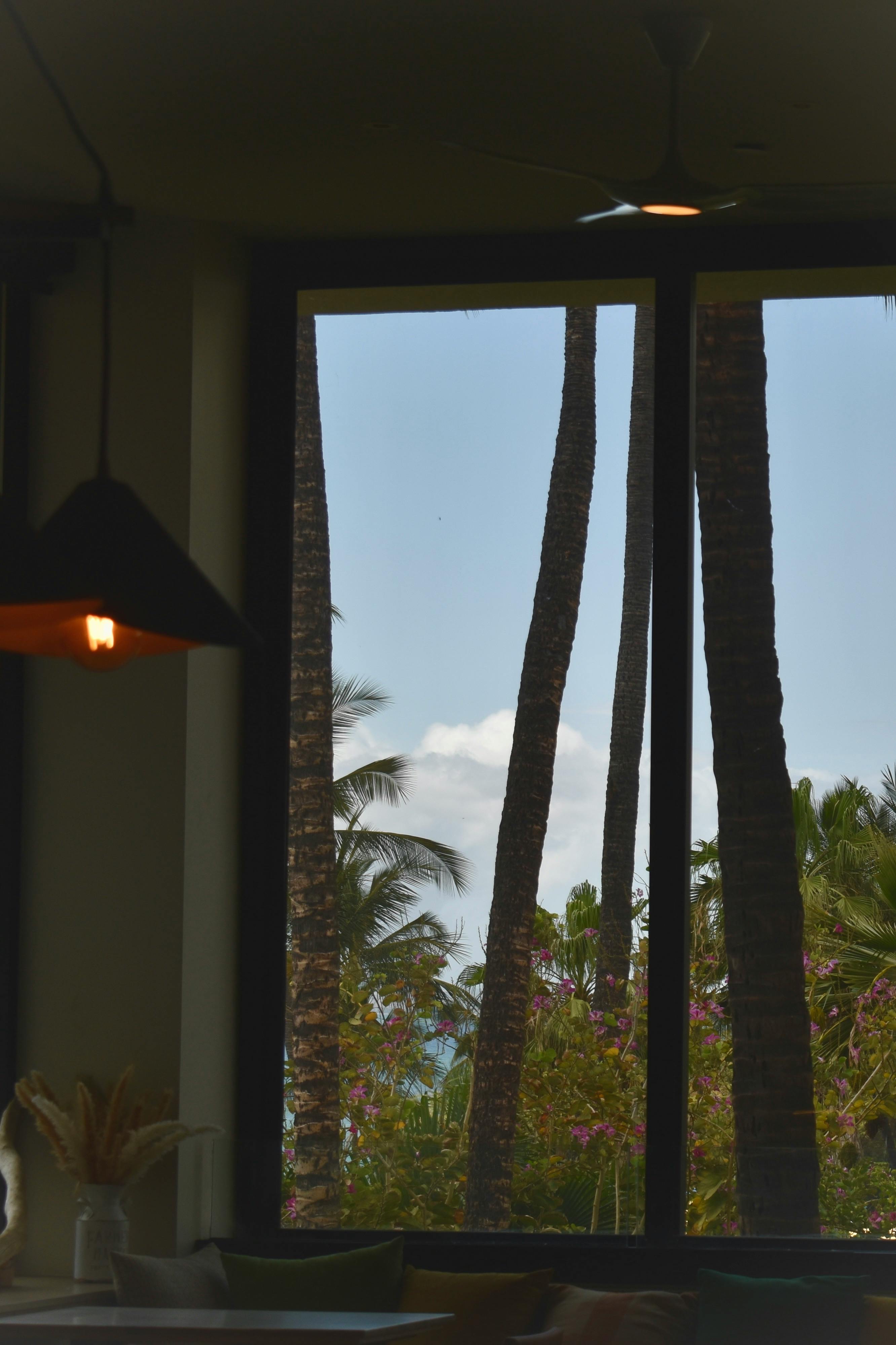 Tropical View Through Café Window · Free Stock Photo