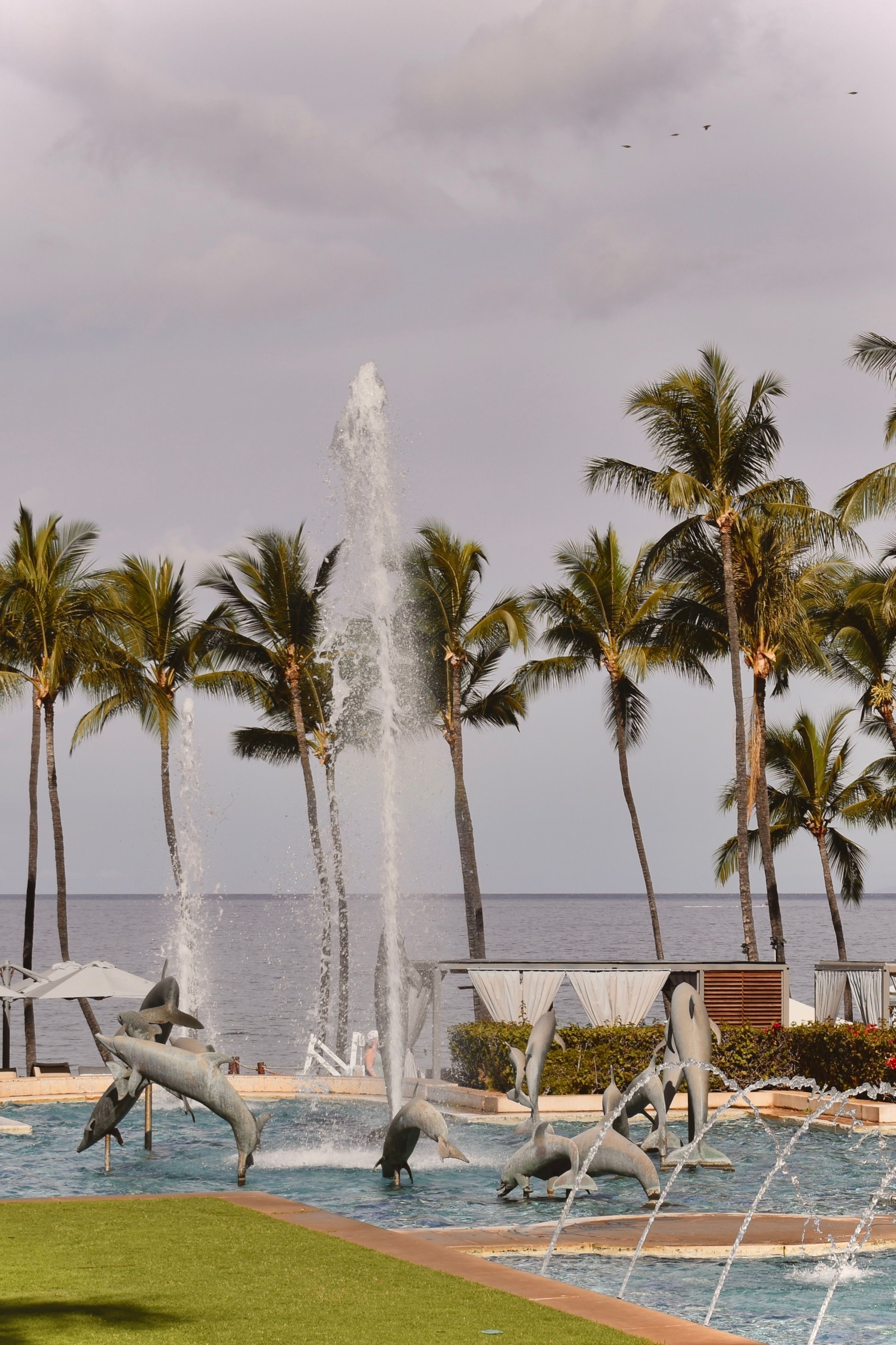 Dolphin Landscape Photos, Download The BEST Free Dolphin Landscape ...