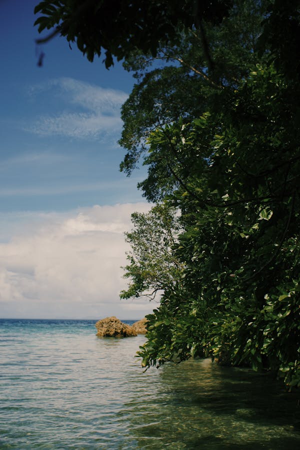 Clean Water Photos, Download The BEST Free Clean Water Stock Photos ...