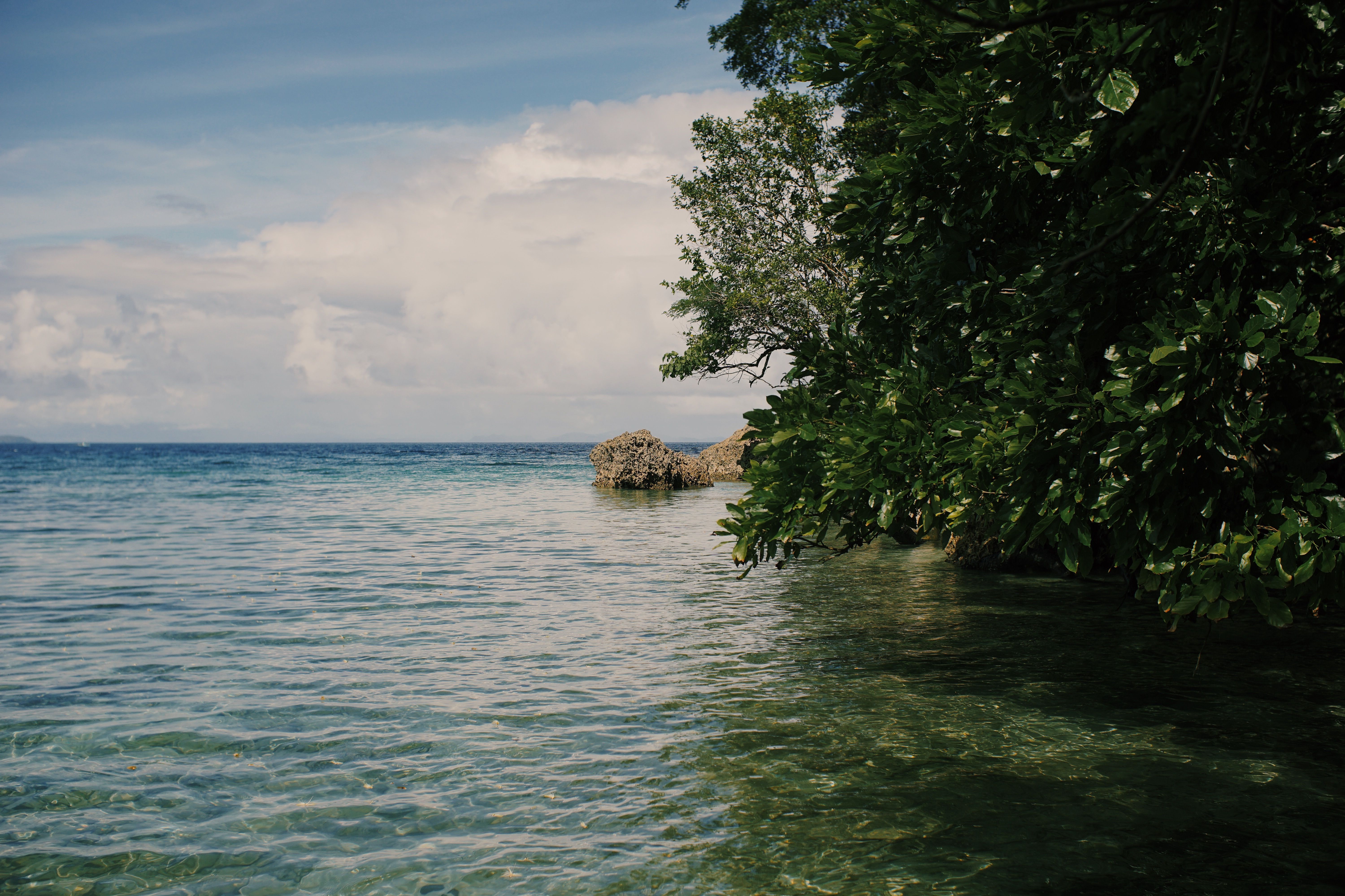 Indonesia Etel Photos, Download The BEST Free Indonesia Etel Stock ...
