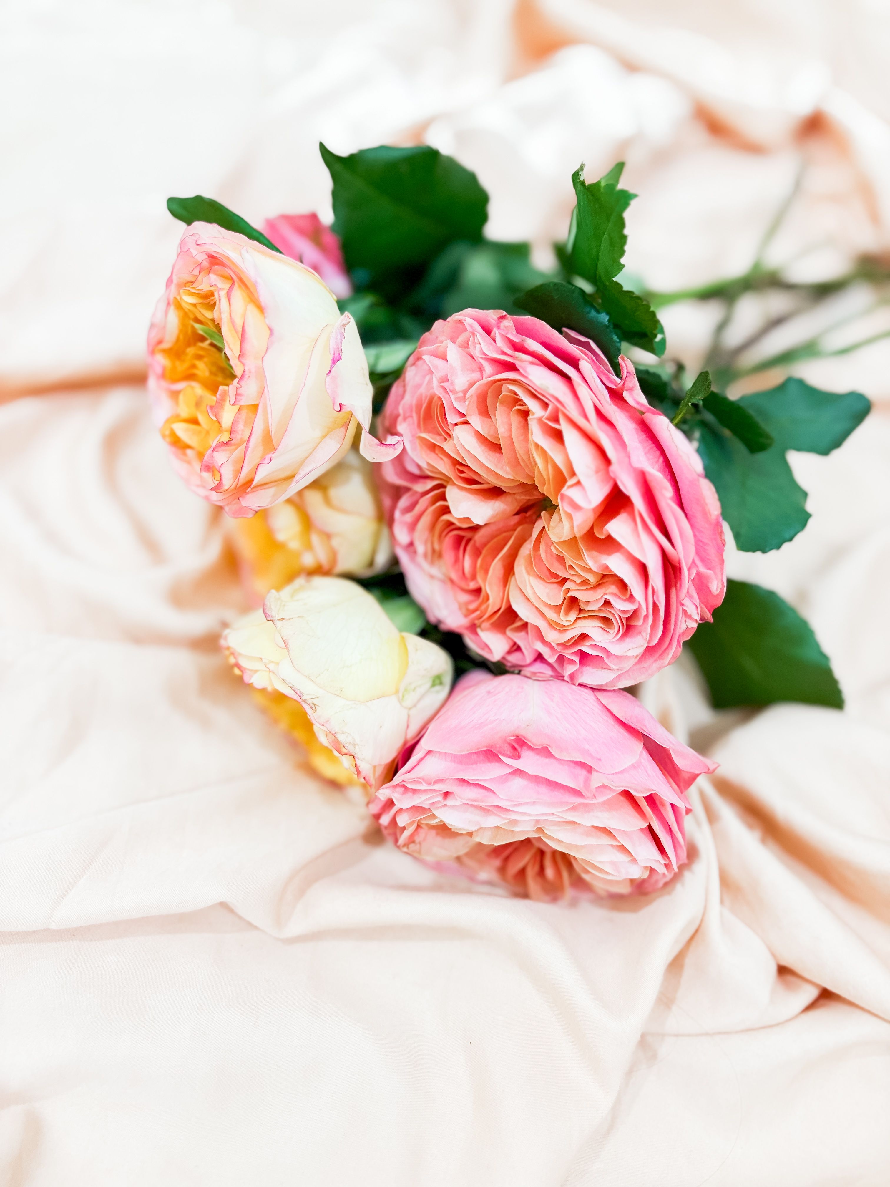 Elegant Bouquet of Pink Garden Roses on Fabric · Free Stock Photo