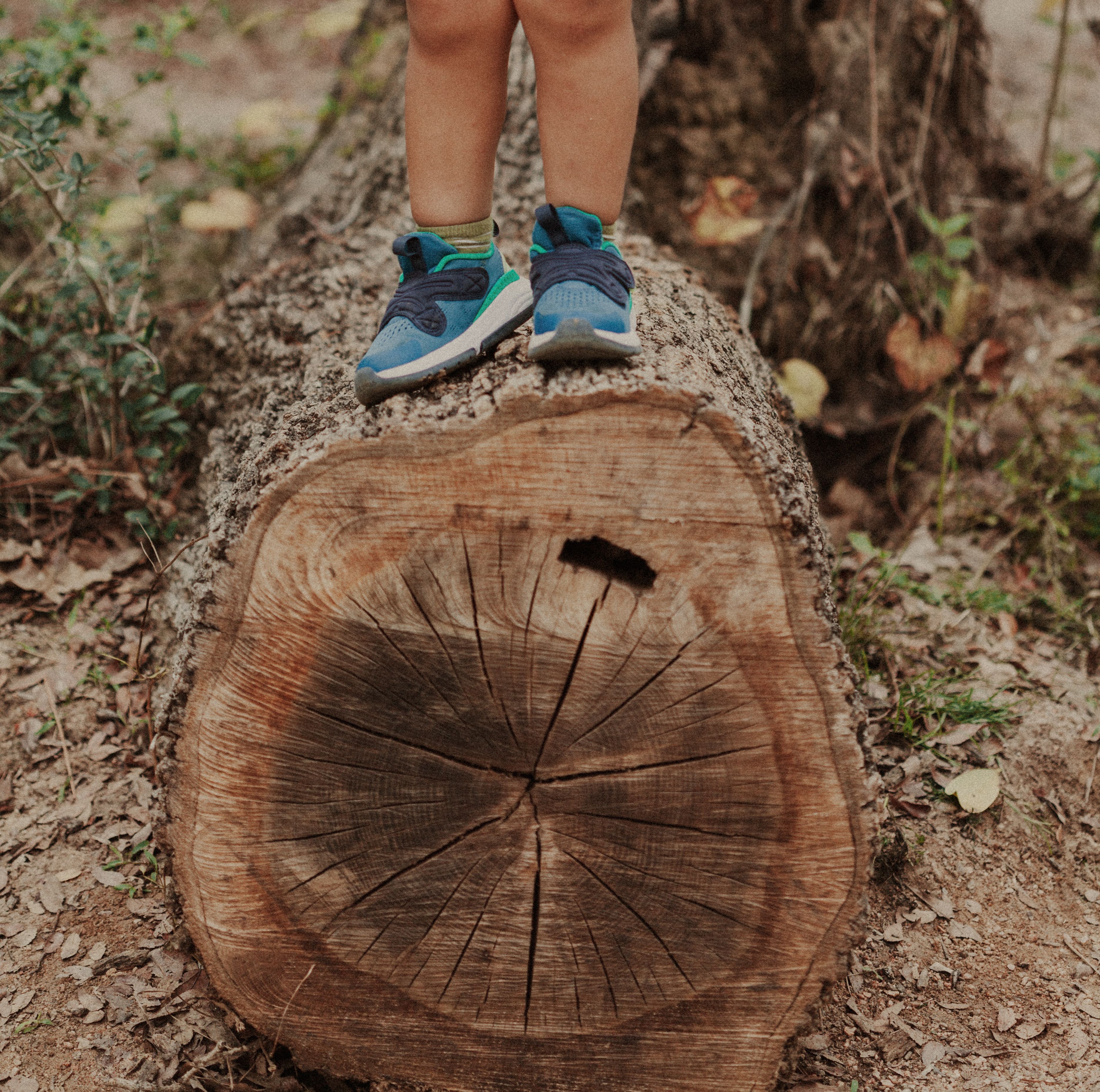 Child's feet on a fallen tree log outdoors · Free Stock Photo