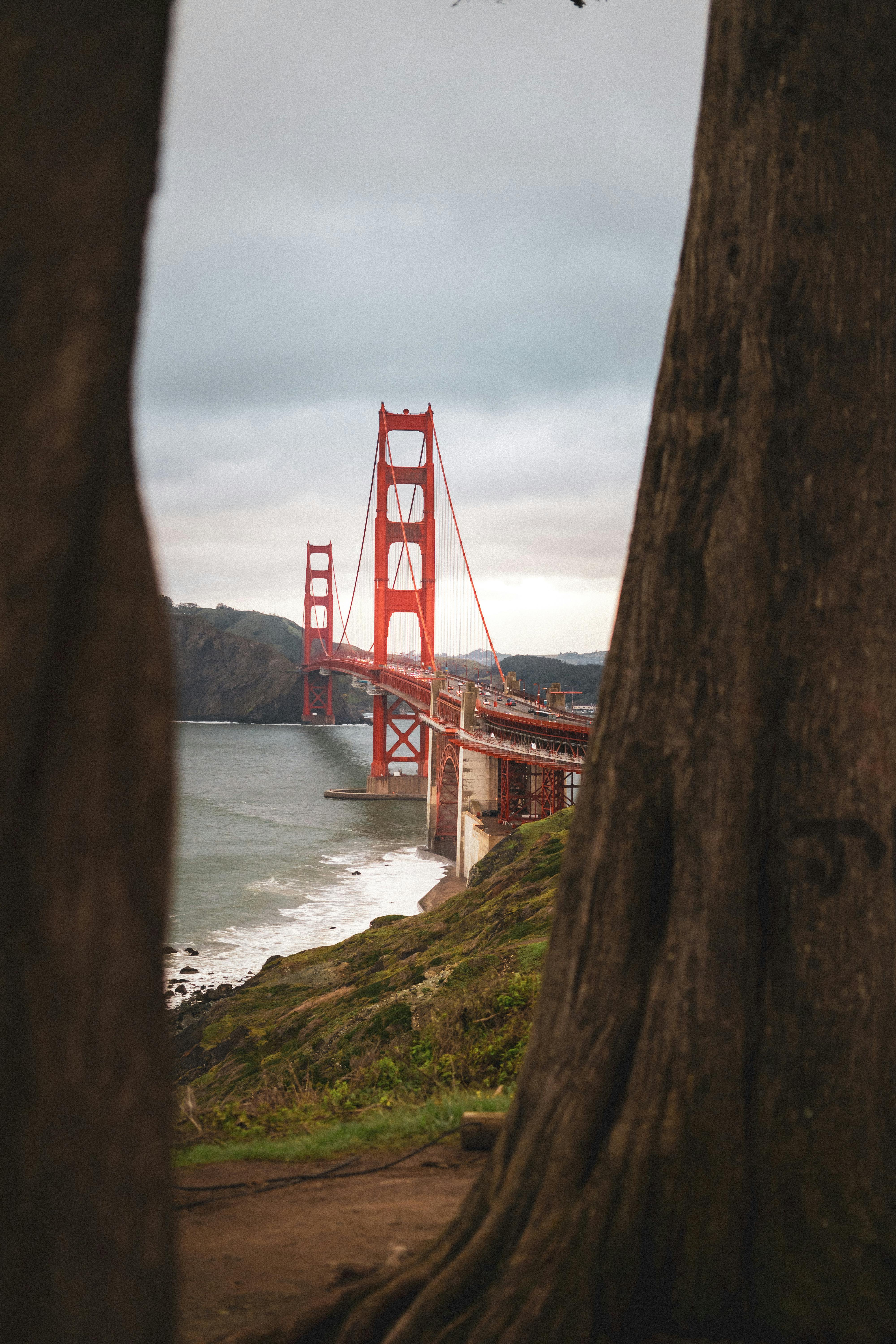 Frame Iconic Photos, Download The BEST Free Frame Iconic Stock Photos ...