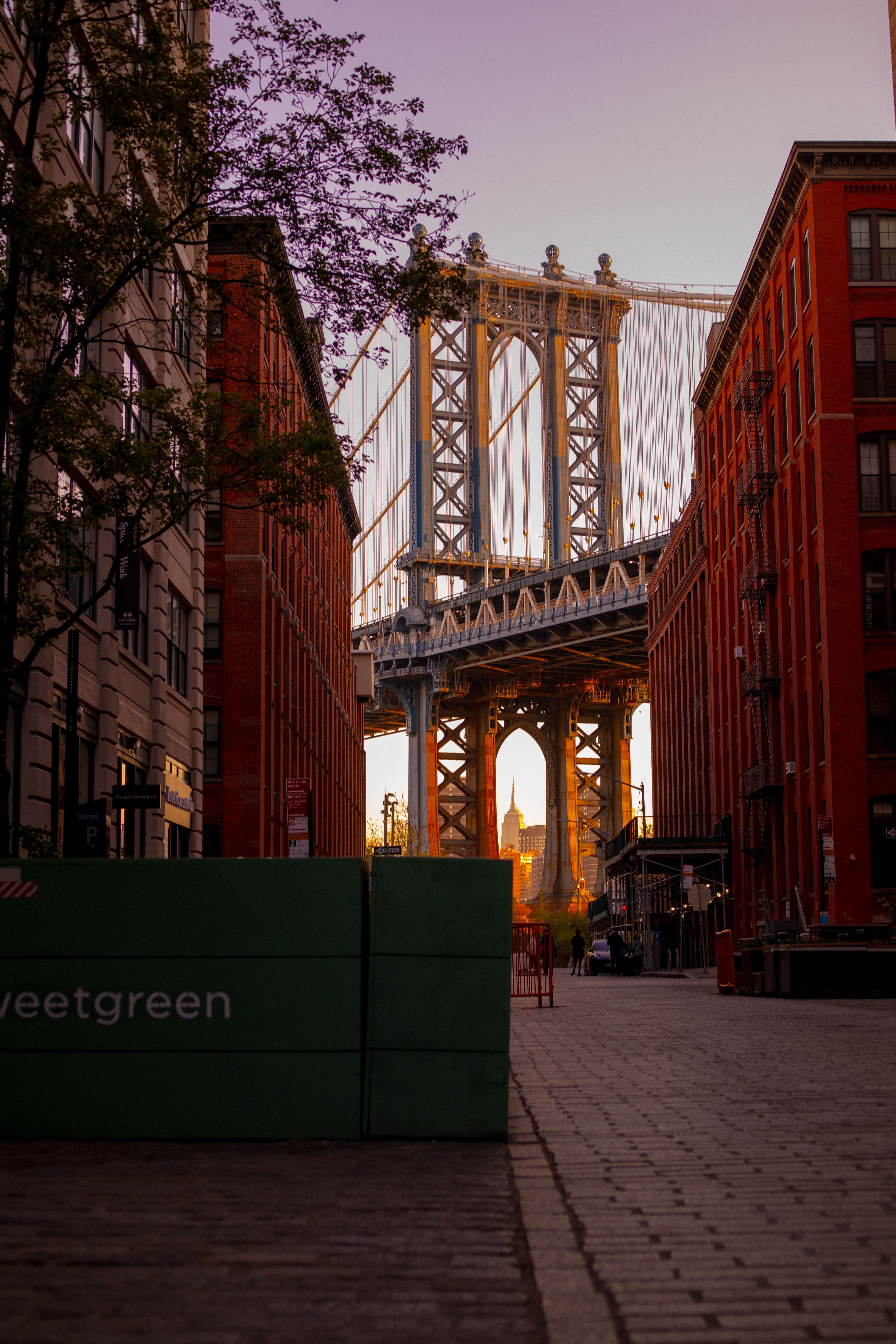 Dumbo Tree Photos, Download The BEST Free Dumbo Tree Stock Photos & HD ...
