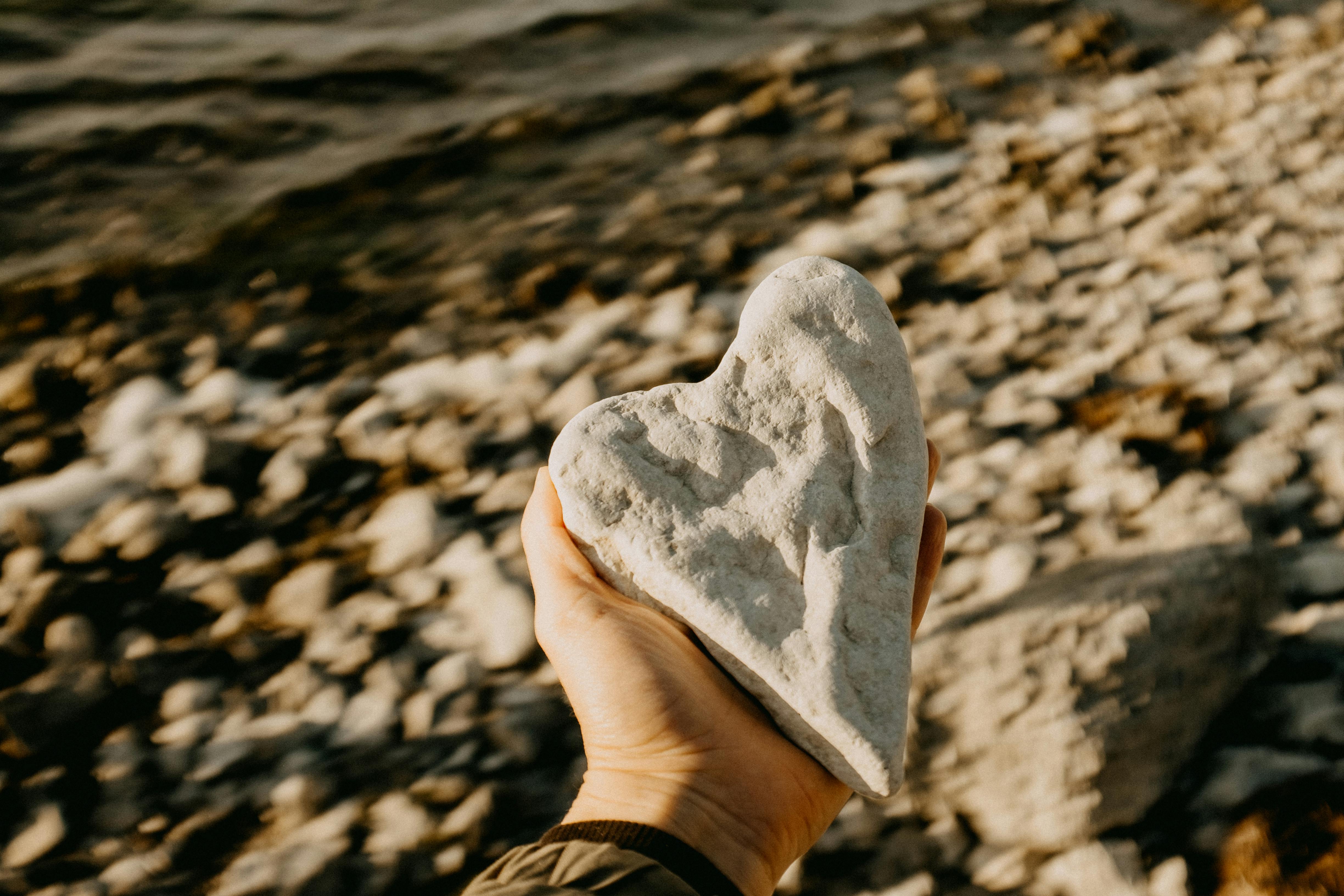 Camarada Srdce · Foto profissional gratuita