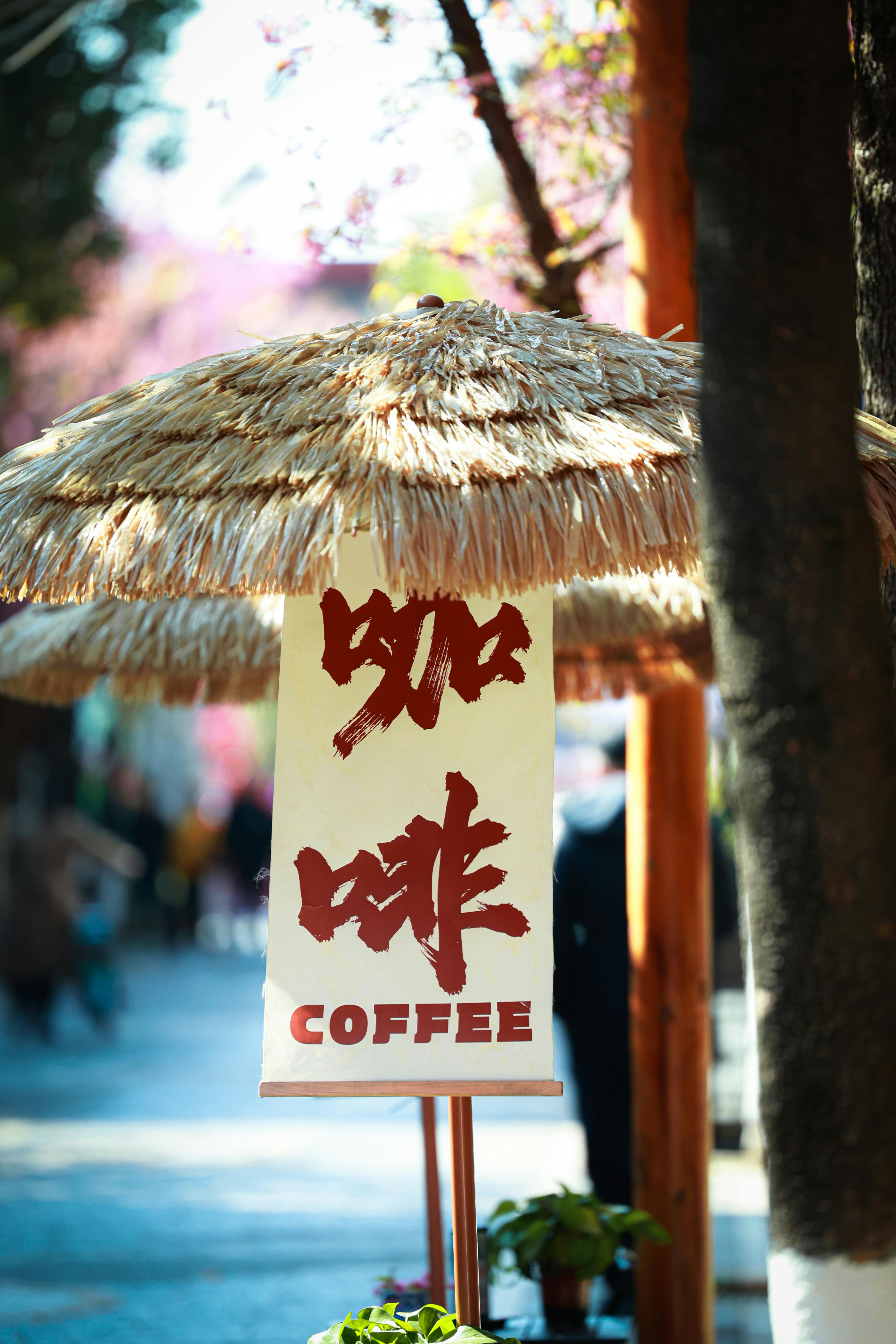 Street Cafe Sign with Bamboo Umbrella · Free Stock Photo