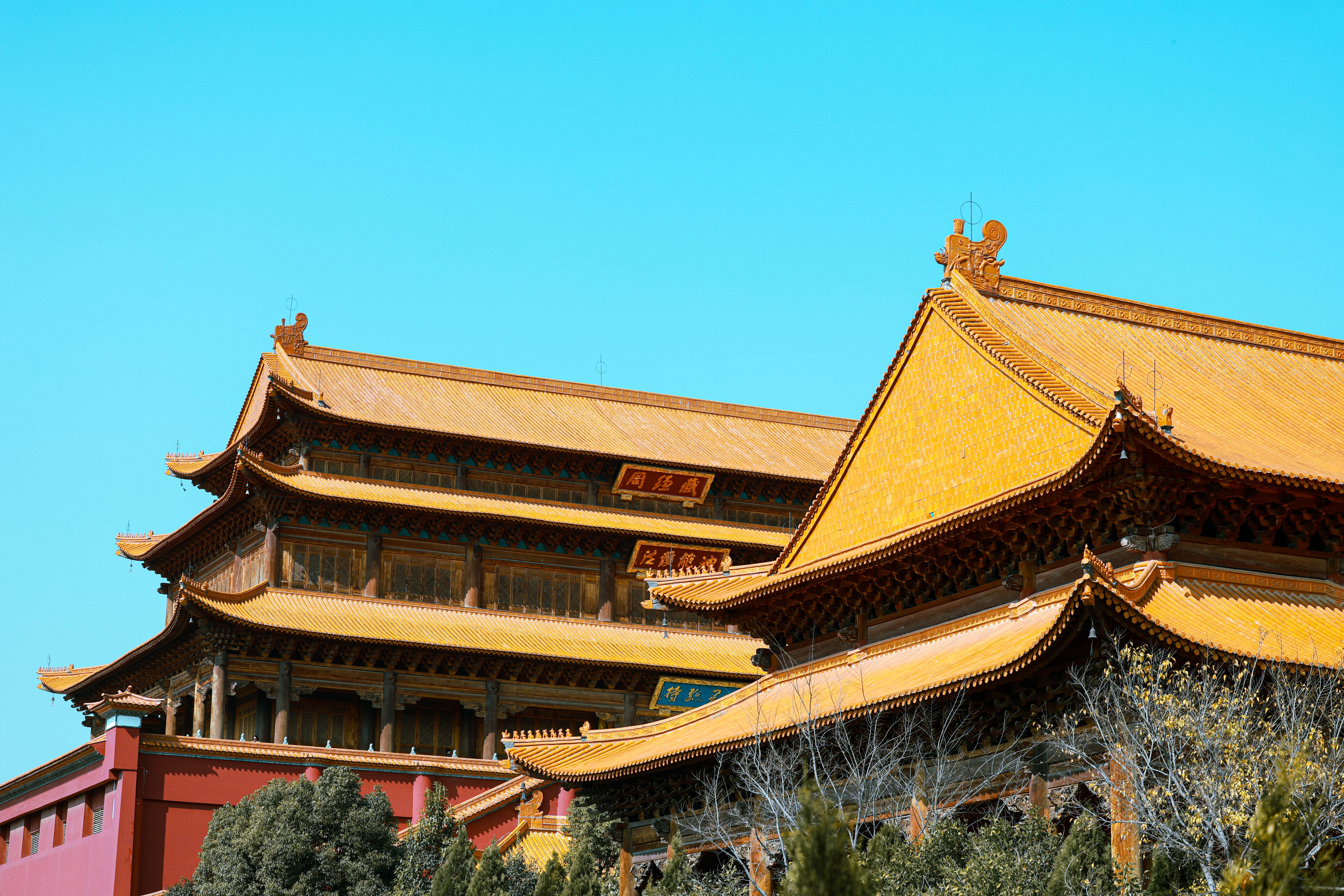 Majestic Chinese Temple Roofs with Blue Sky · Free Stock Photo