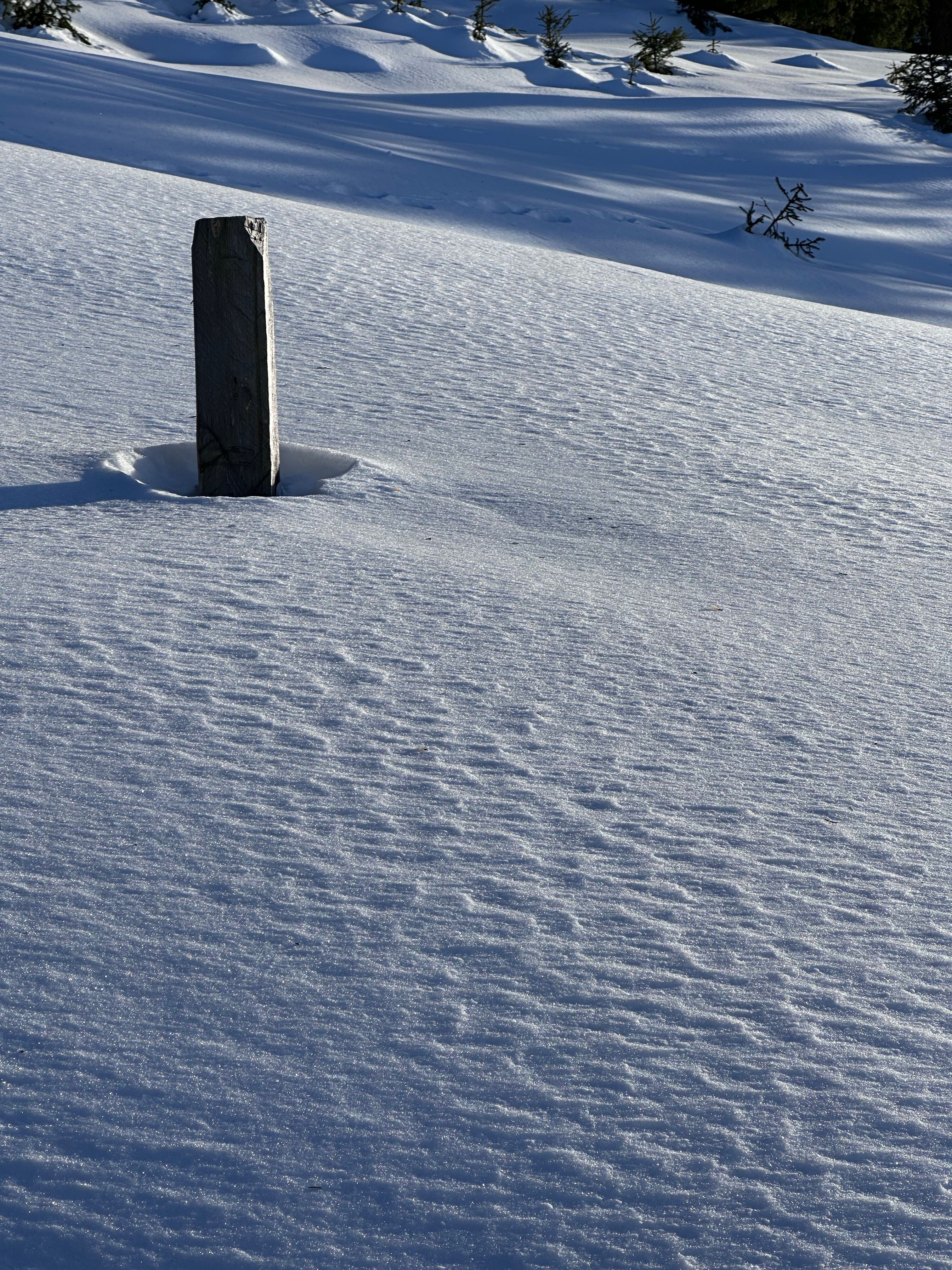 Lonely Wooden Post in Snow-Covered Landscape · Free Stock Photo
