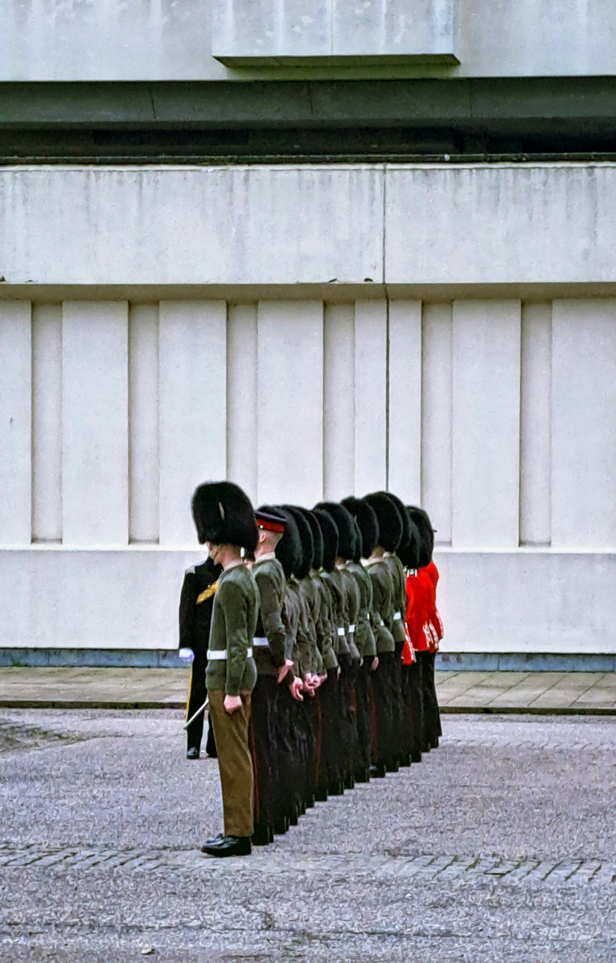 Pom Pomp Photos, Download The BEST Free Pom Pomp Stock Photos & HD Images