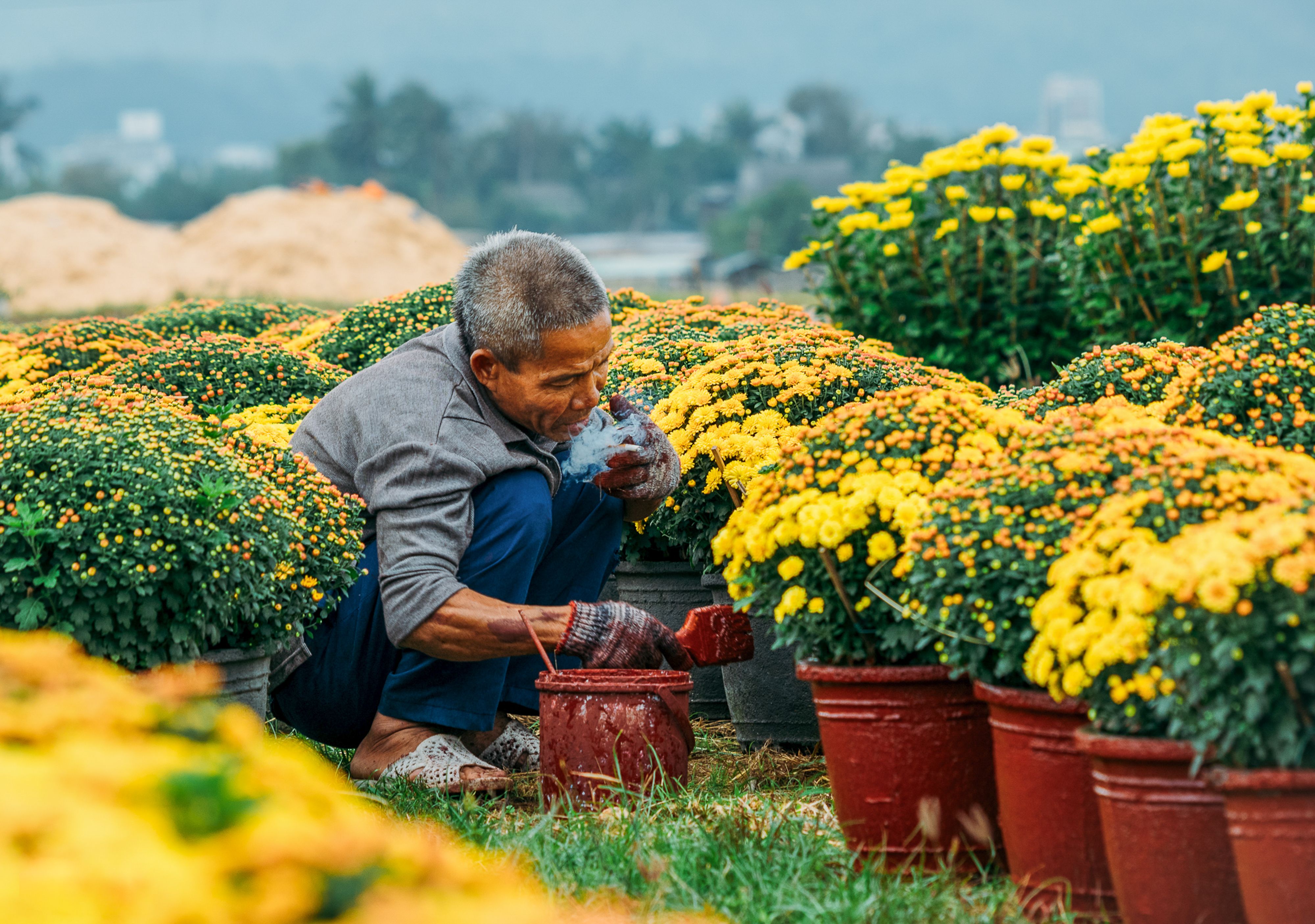 1.000+ Foto Berangkas Terbaik · Unduh Gratis 100% · Foto Stok Pexels