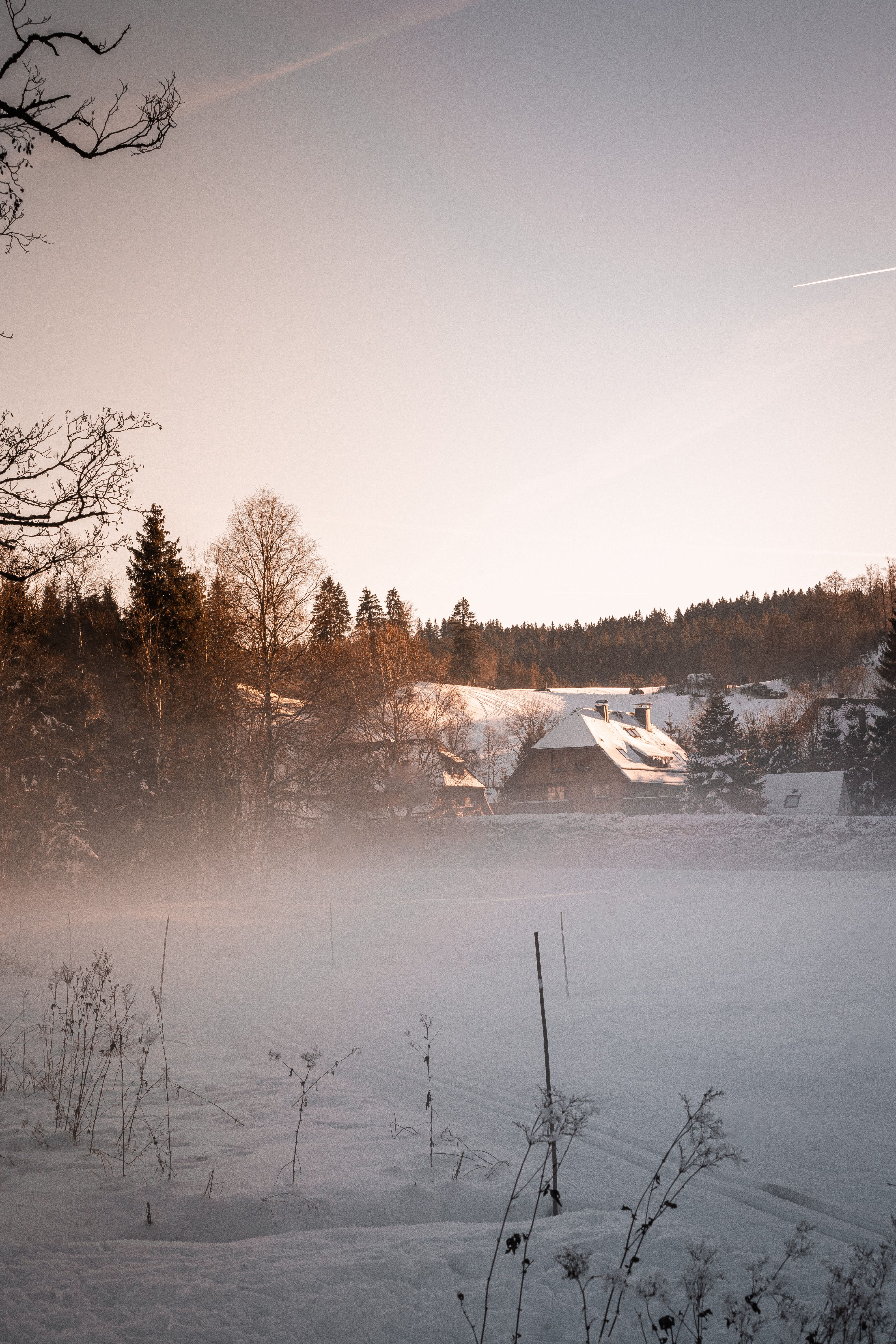 Idyllic Winter Morning in Rural Snowy Landscape · Free Stock Photo