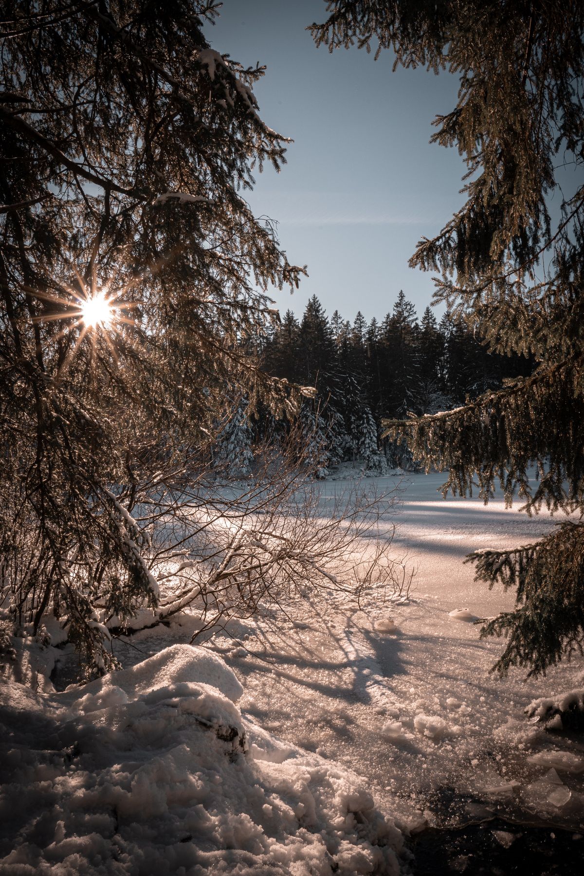 Winter Sun Photos, Download The BEST Free Winter Sun Stock Photos & HD ...