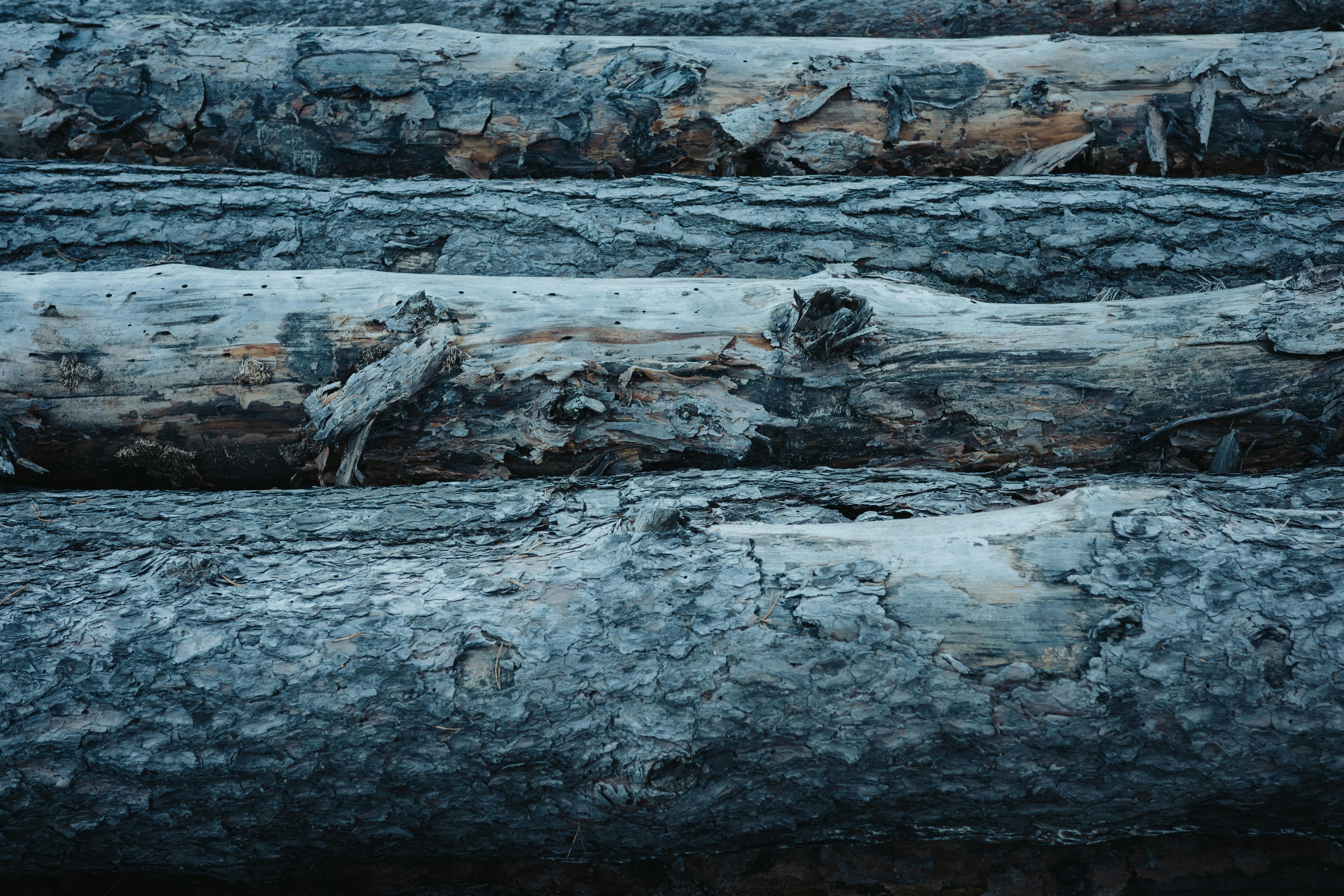 Materials Creativos Photos, Download The BEST Free Materials Creativos ...