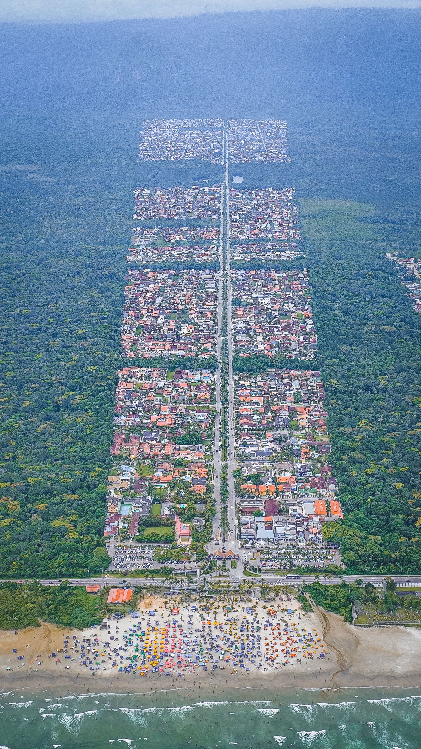Aerial View of Coastal City with Dense Forest · Free Stock Photo