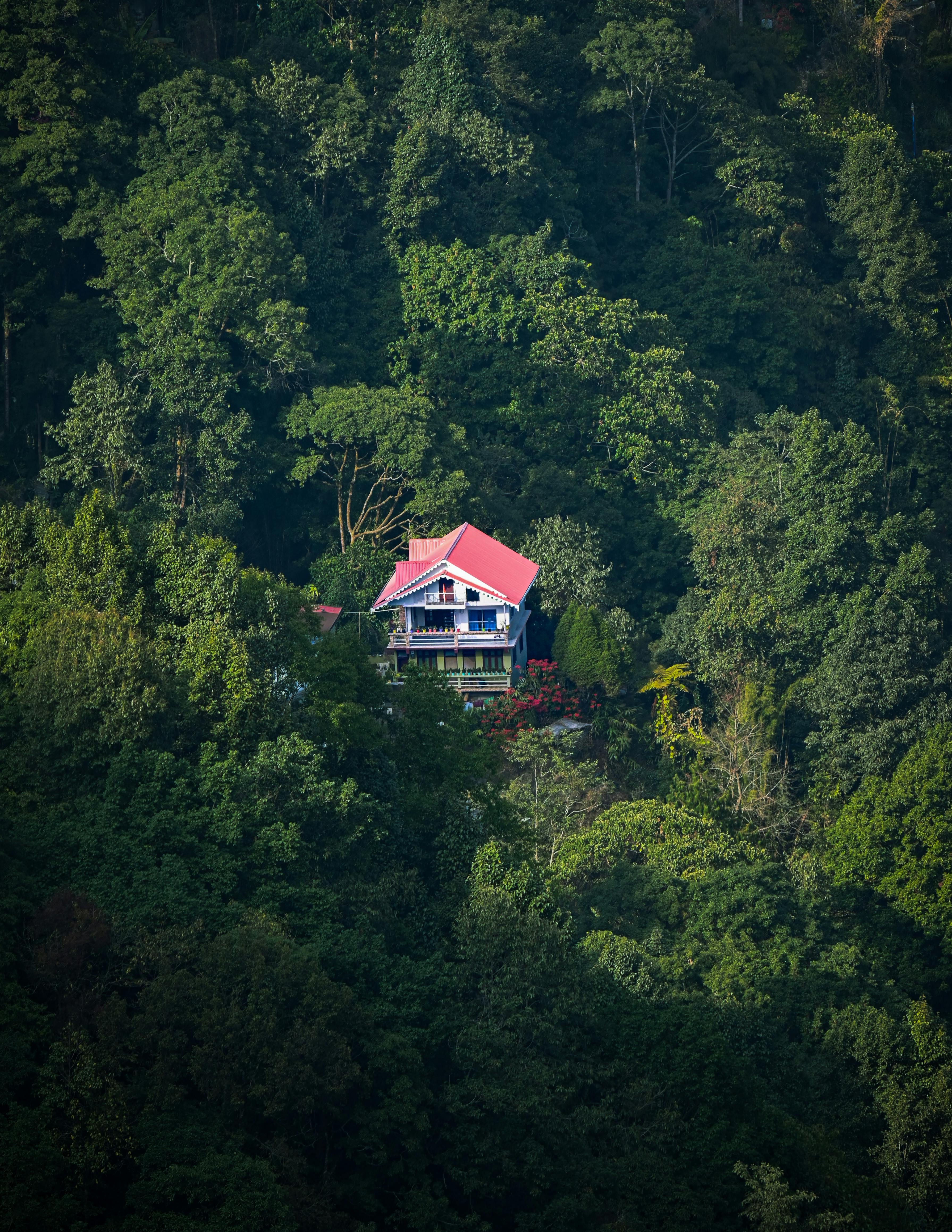 Beautiful Home Greenery Photos, Download The BEST Free Beautiful Home ...