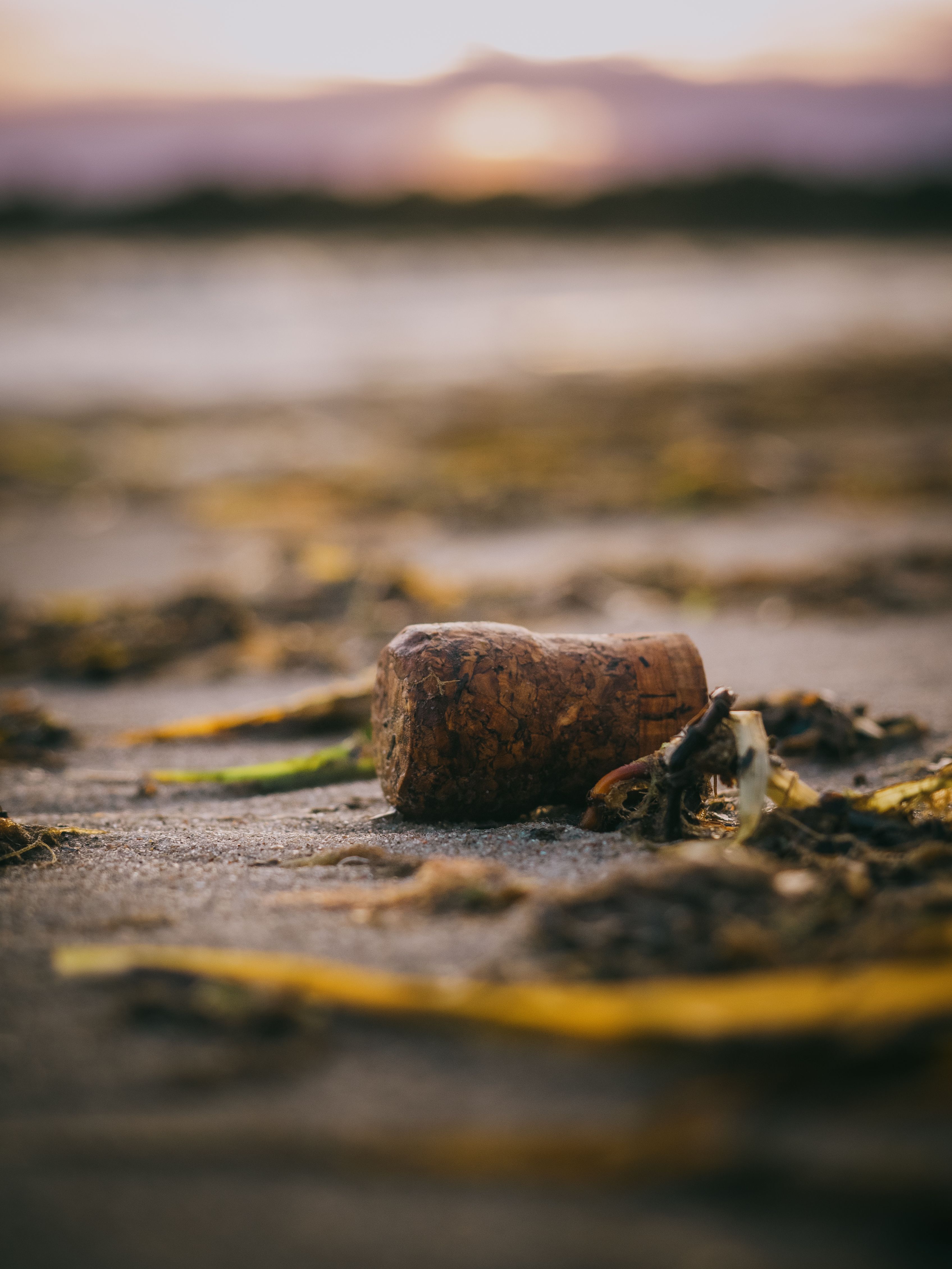 Beach Sunset with Cork on Sand in Neustadt · Free Stock Photo