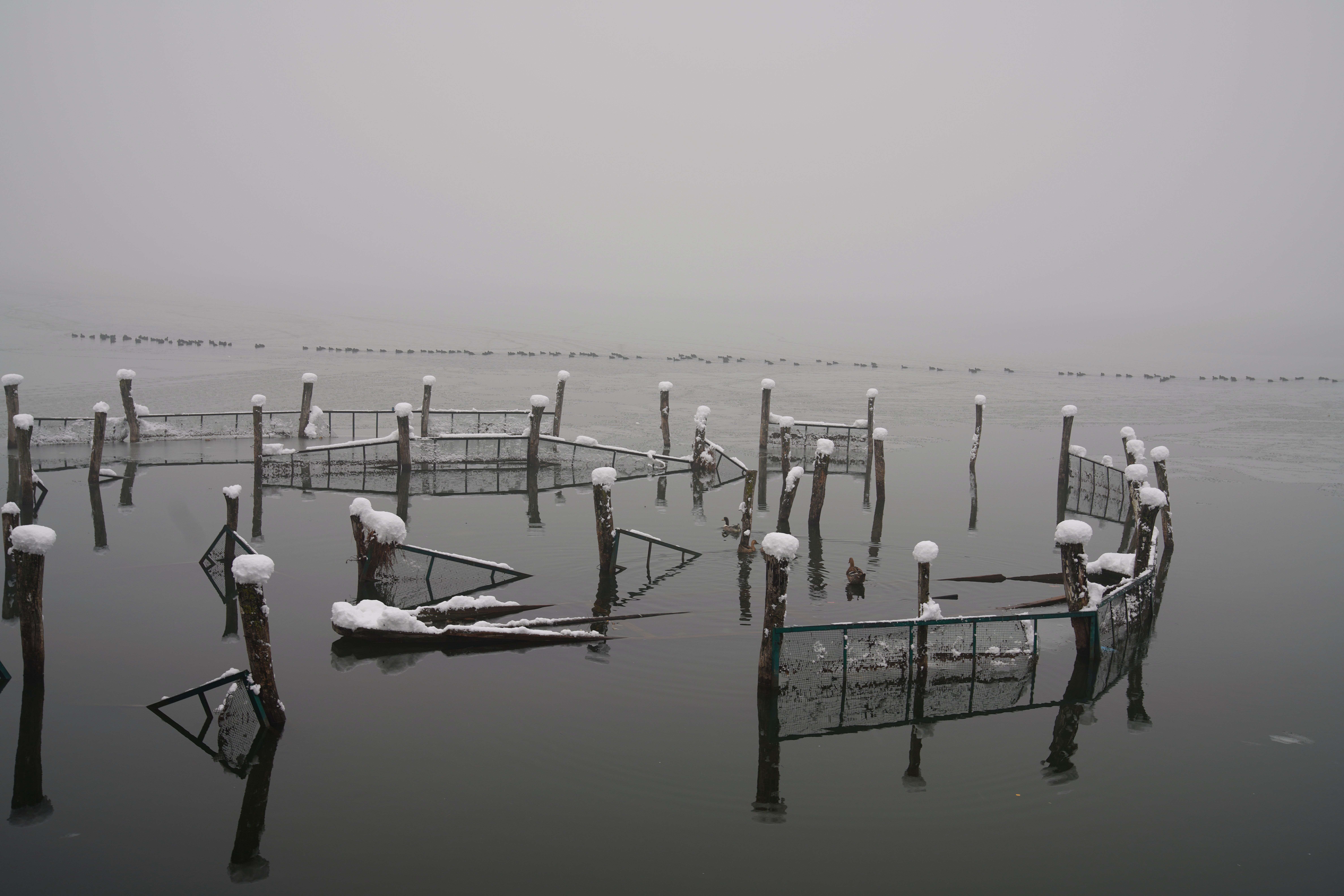 Serene Winter Scene in Kashmir's Snowy Waters · Free Stock Photo