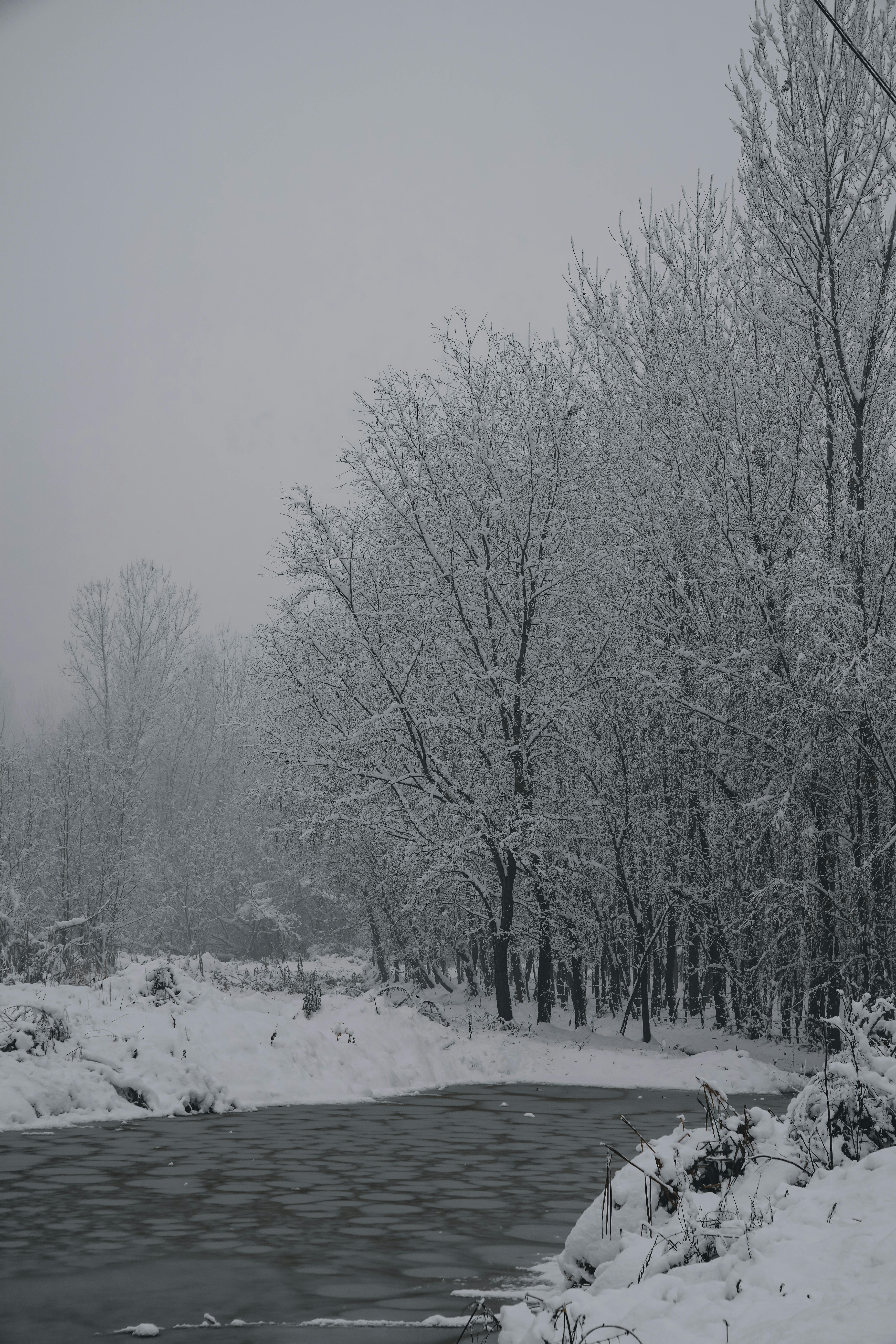 Hazel Winter Photos, Download The BEST Free Hazel Winter Stock Photos ...