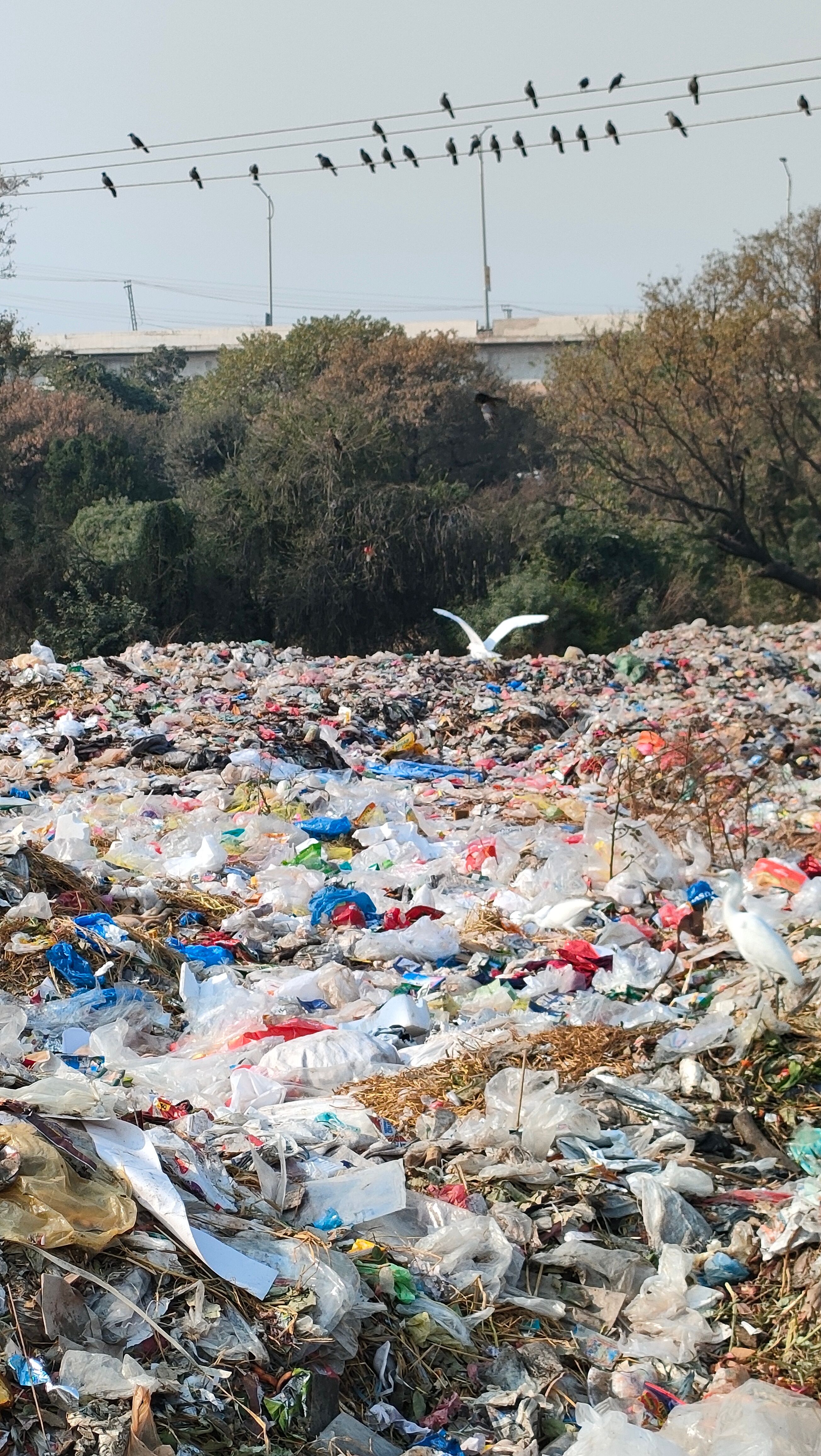 Environmental Pollution: Piles of Plastic Waste Outdoors · Free Stock Photo