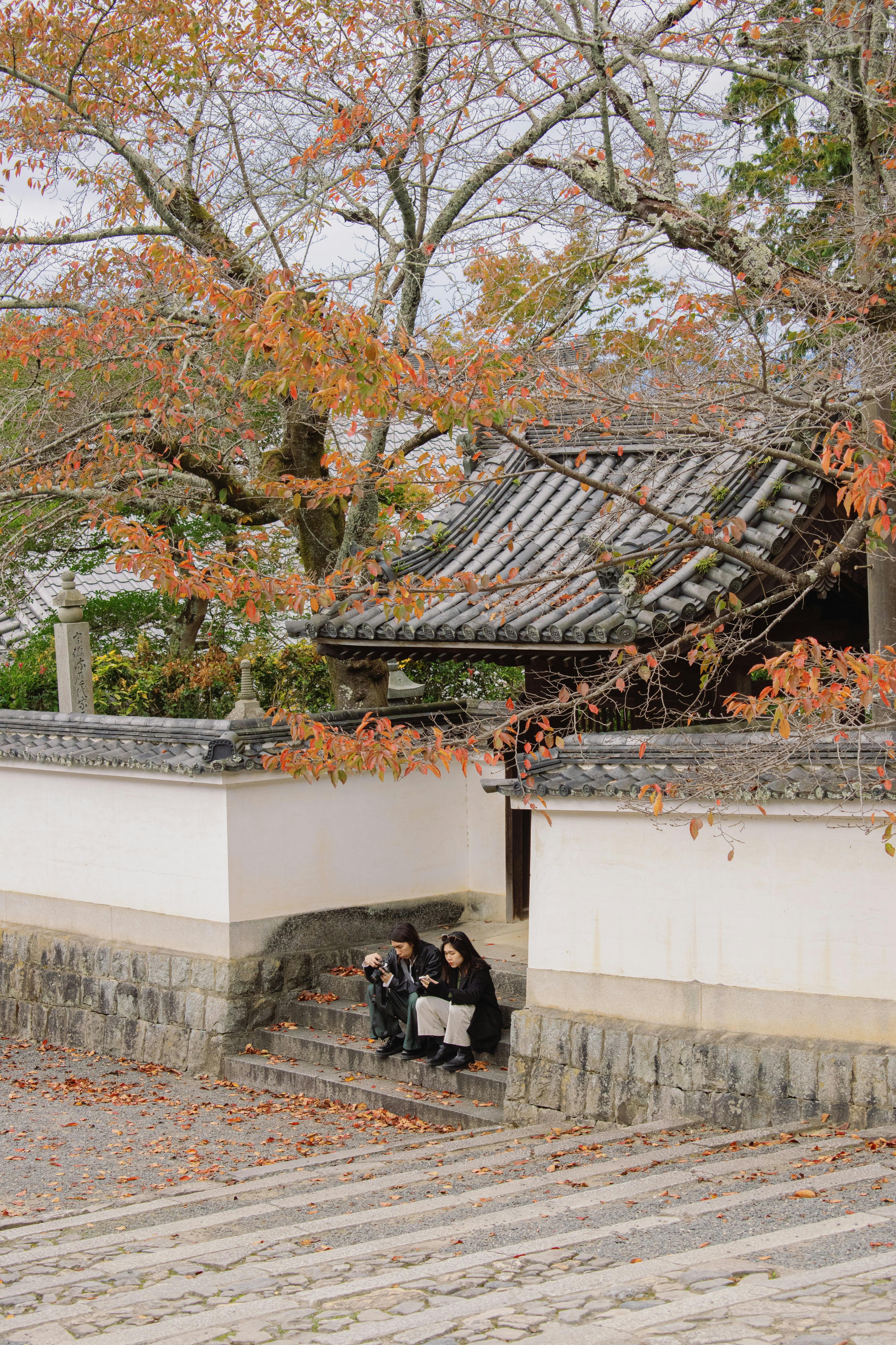 Japan Iconic Photos, Download The BEST Free Japan Iconic Stock Photos ...