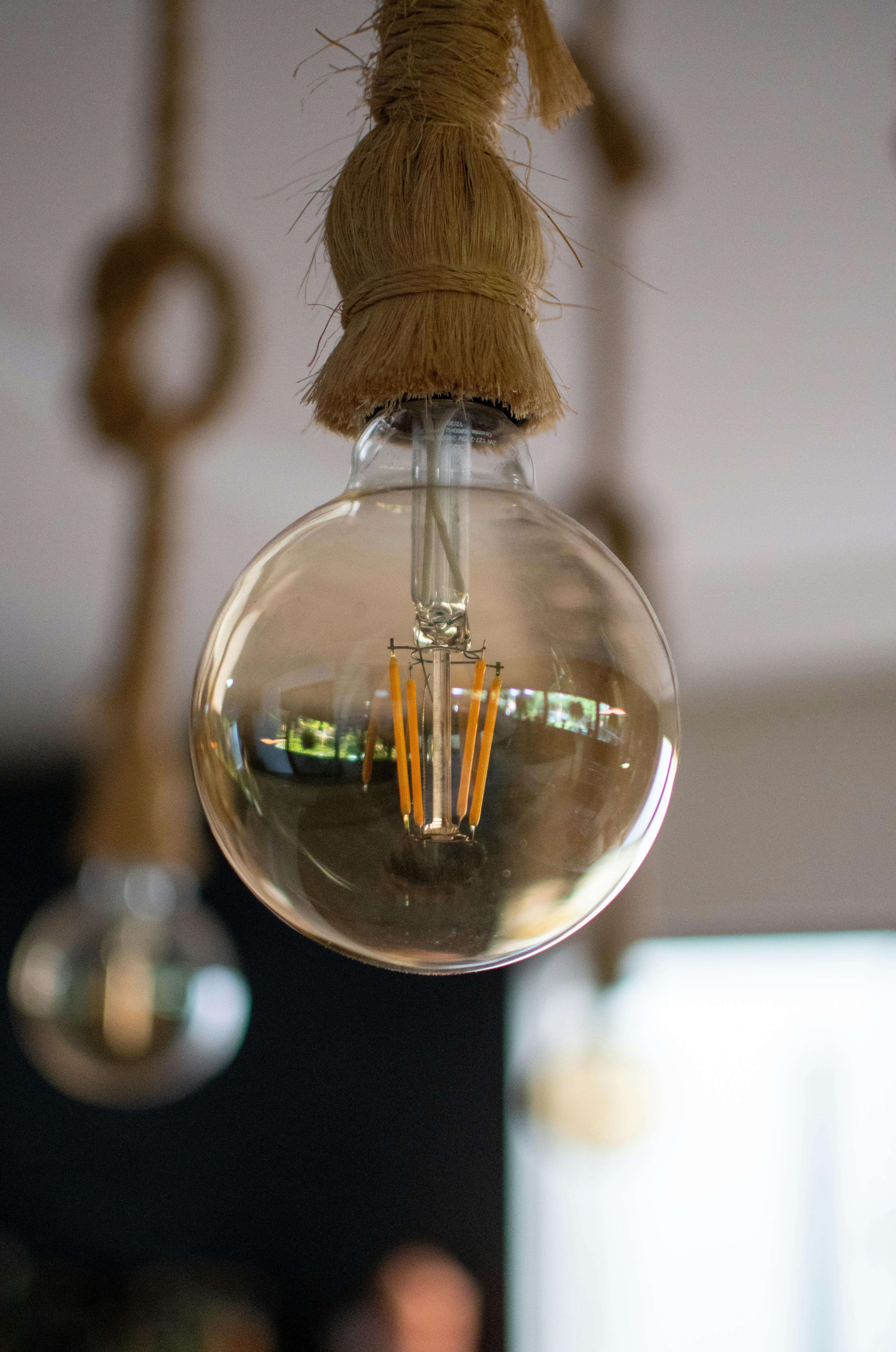 Bulb Texture Photos, Download The BEST Free Bulb Texture Stock Photos ...