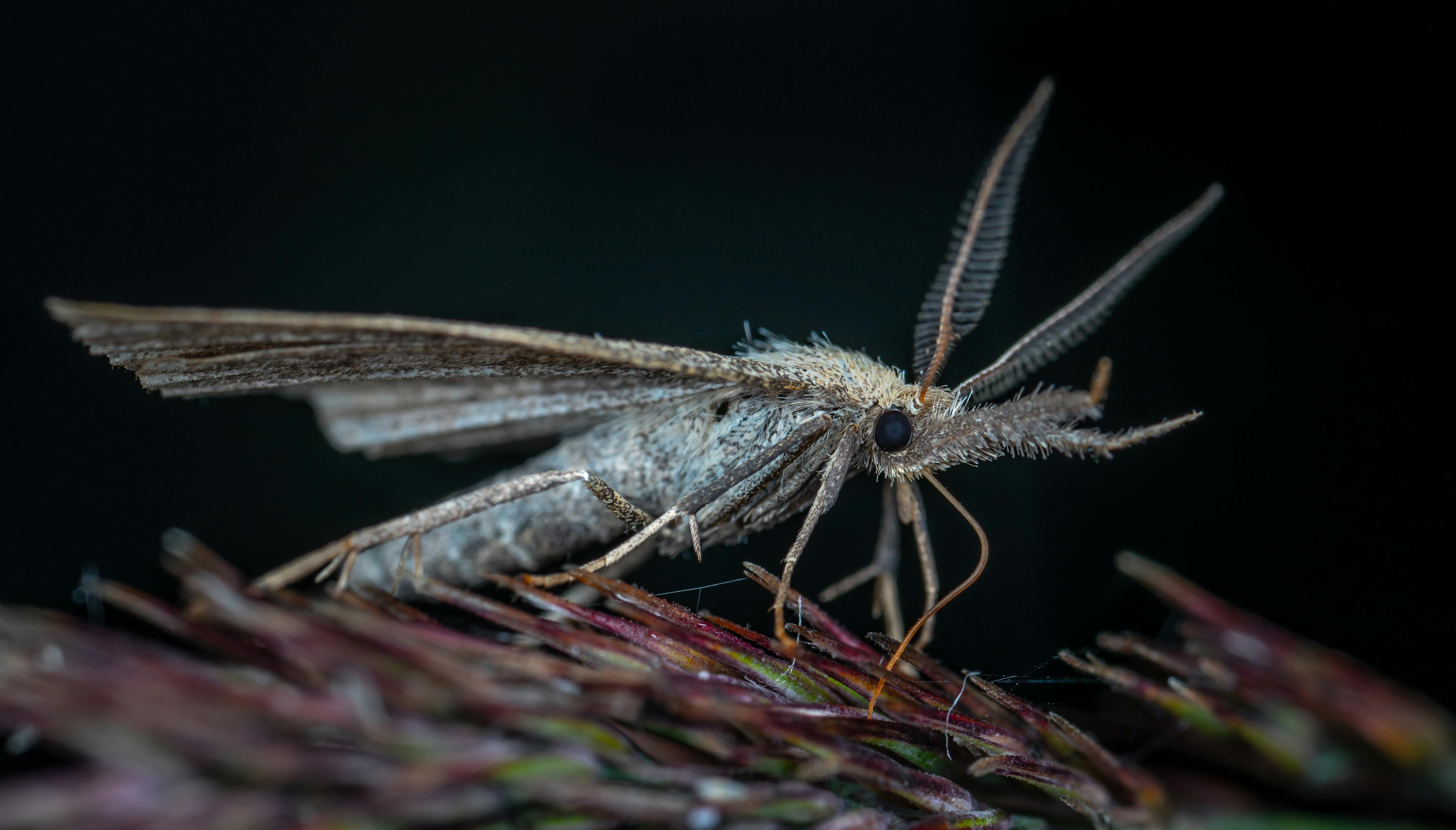 Egor Kamelev - Photography