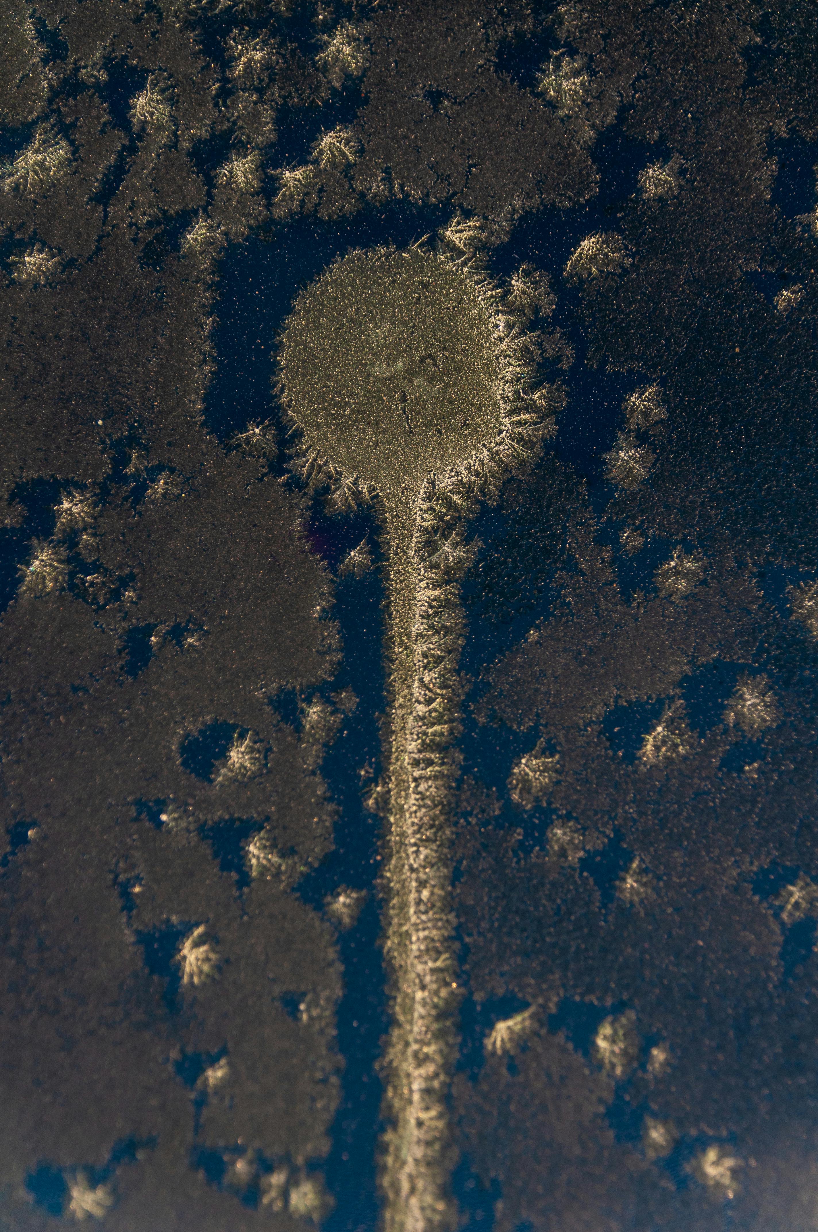 Corundum Crystal Photos, Download The BEST Free Corundum Crystal Stock ...