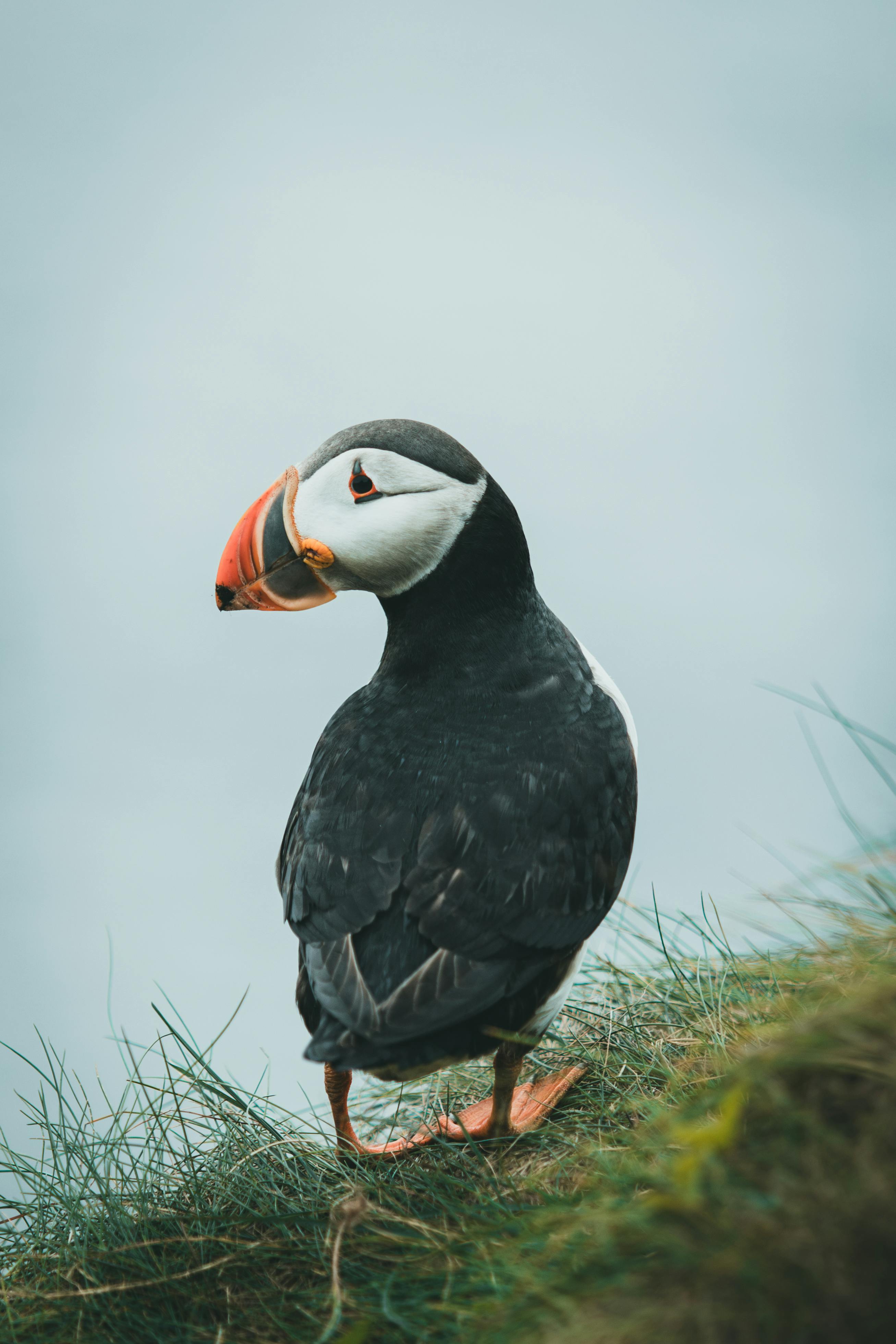 Bird Aktiviteleri Photos, Download The BEST Free Bird Aktiviteleri ...