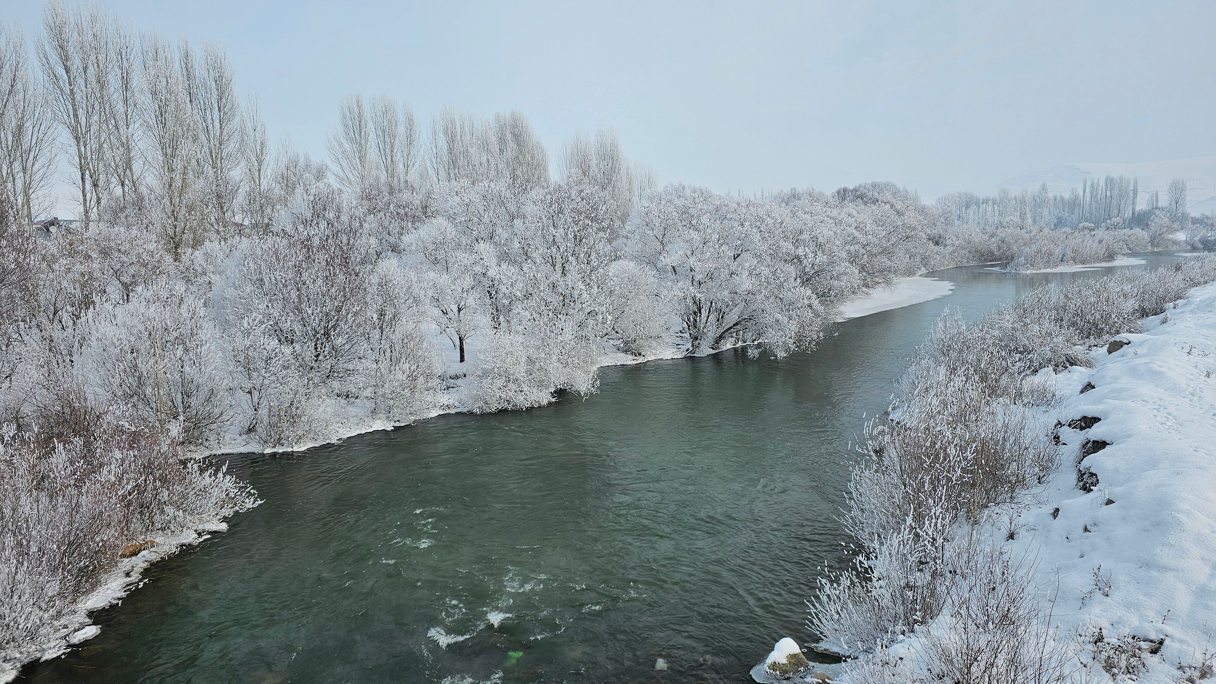 Serene Winter River with Snow-Covered Trees · Free Stock Photo