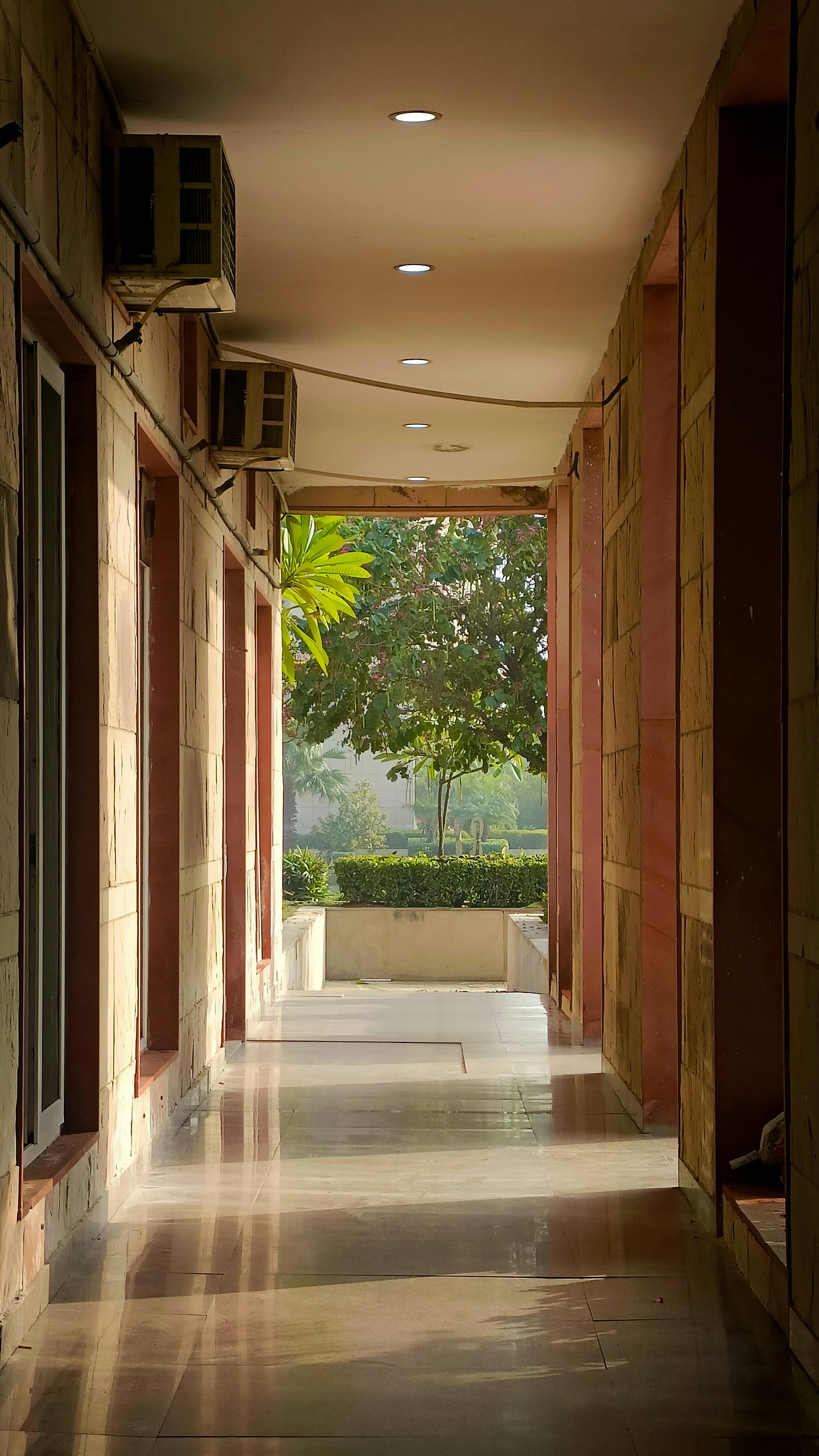 Sunny Corridor with Greenery in Greater Noida · Free Stock Photo
